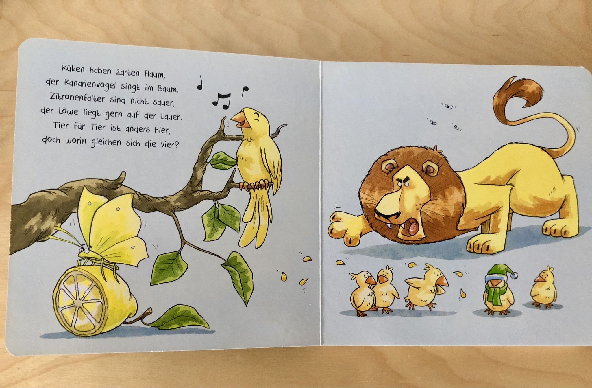 "Schau mal hier, worin gleichen sich die vier?" - Susanne Weber ...