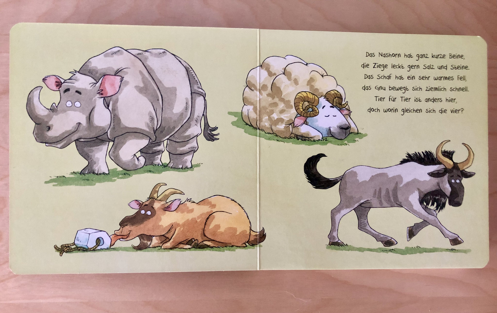 "Schau mal hier, worin gleichen sich die vier?" - Susanne Weber ...