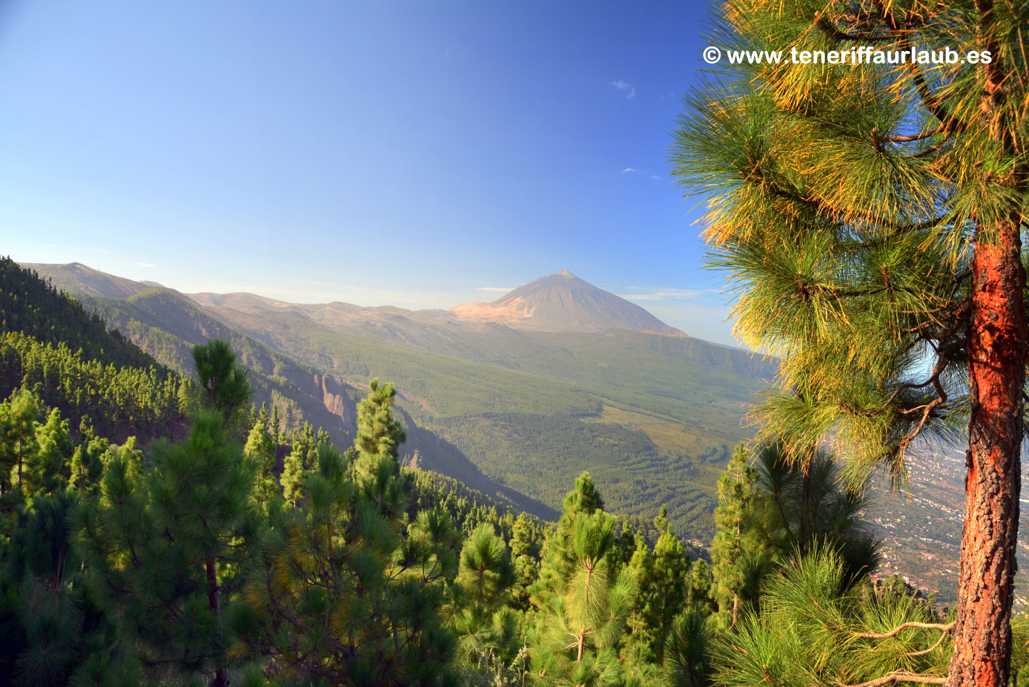 Mirador de Chipeque - Reiseführer Teneriffa