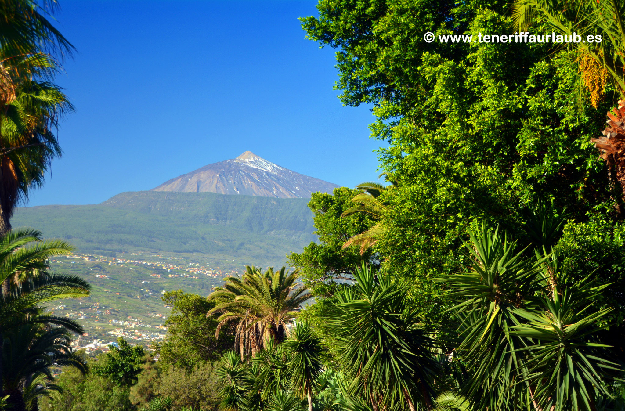 Das Orotavatal-Valle de La Orotava - Reiseführer Teneriffa