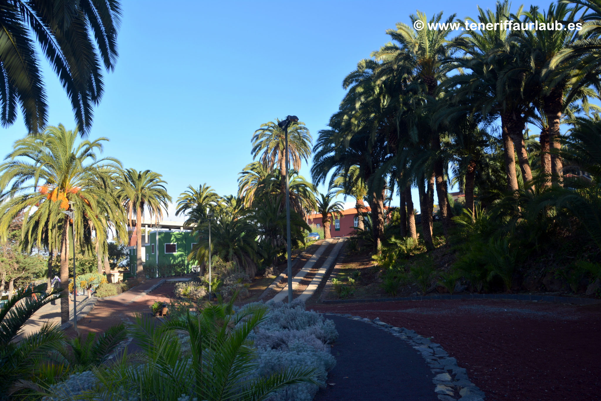 Parque El Pinar - La Victoria - Reiseführer Teneriffa