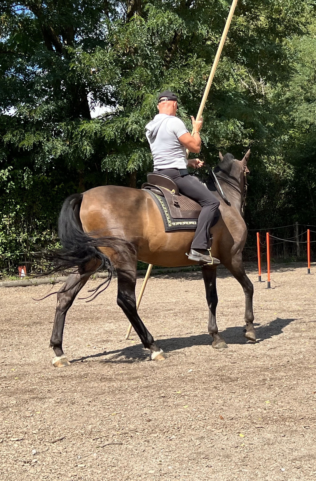 Super leichte Übungs-Garrocha - Trail, Working-Equitation-Equipment ...