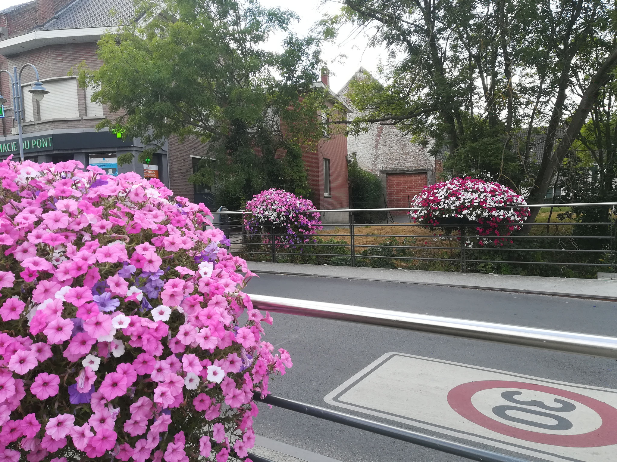 Rebecq ville fleurie - Wallonie en Fleurs