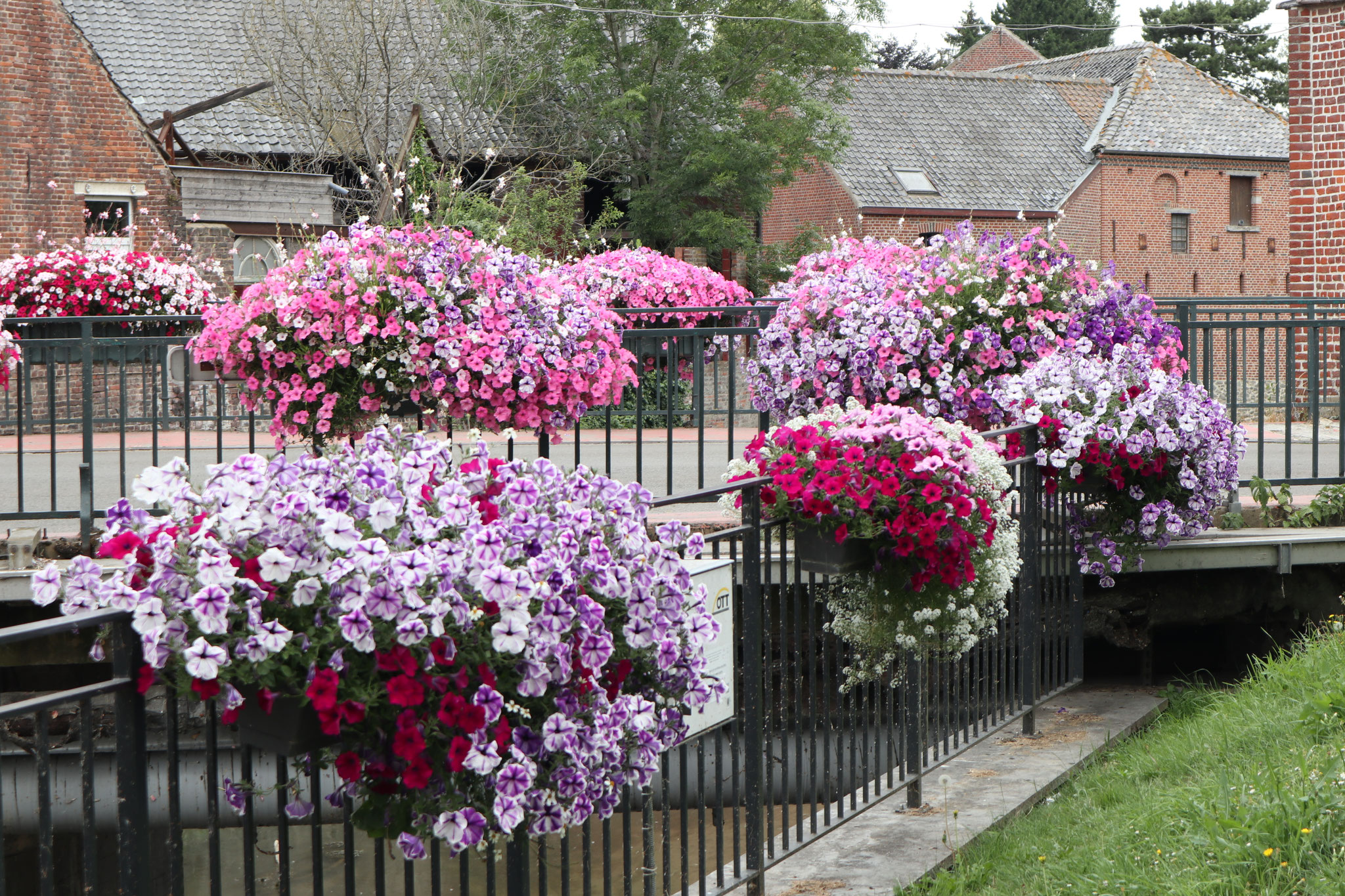 Rebecq commune fleurie 1 fleur - Wallonie en Fleurs