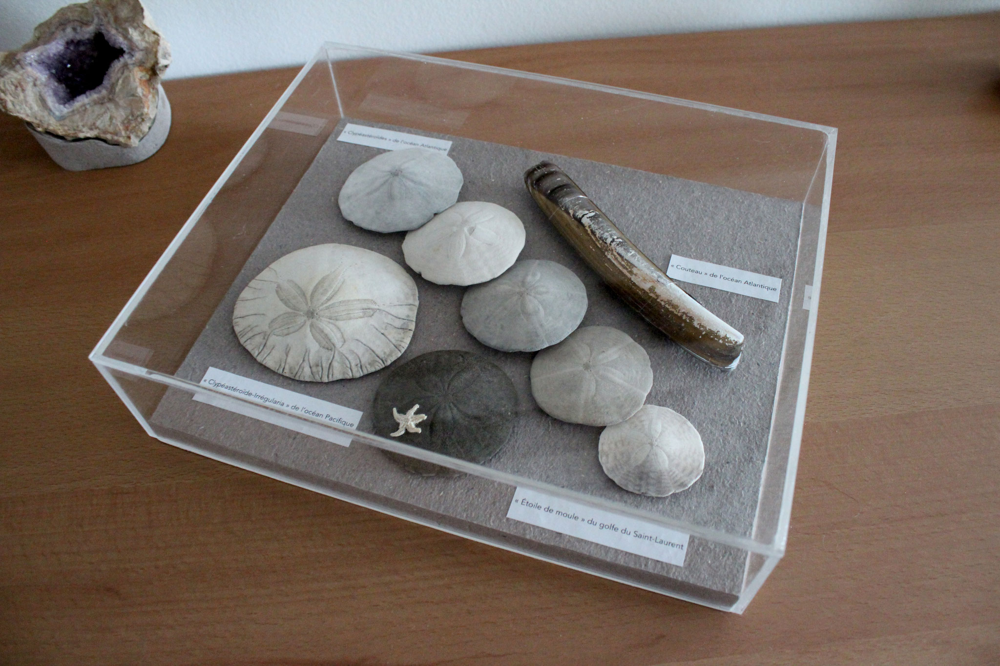 Mise en valeur des objets de collection - MichelineLeclerc.com ...