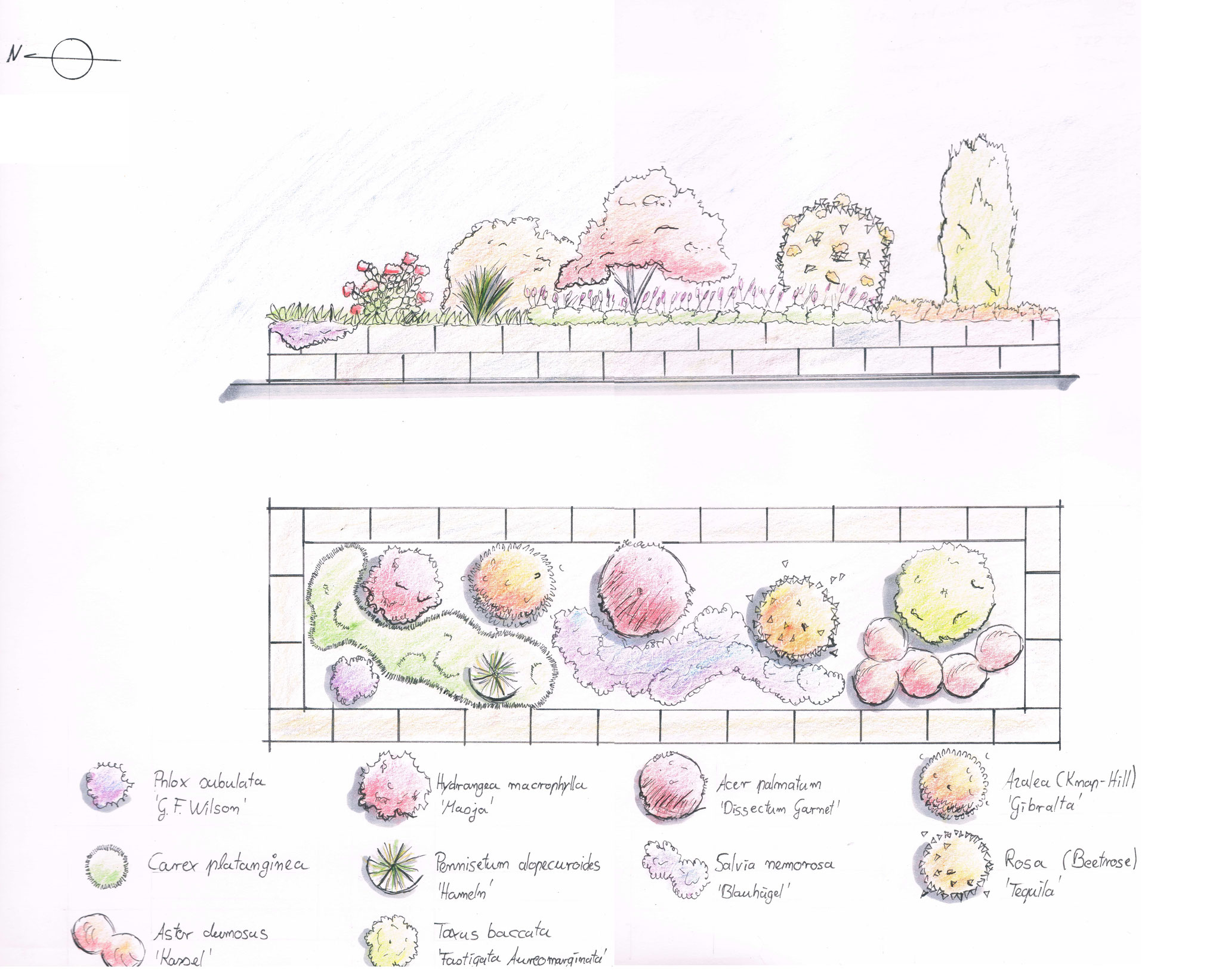 Das leisten wir! Neu- und Umgestaltung, Garten- und Baumpflege ...