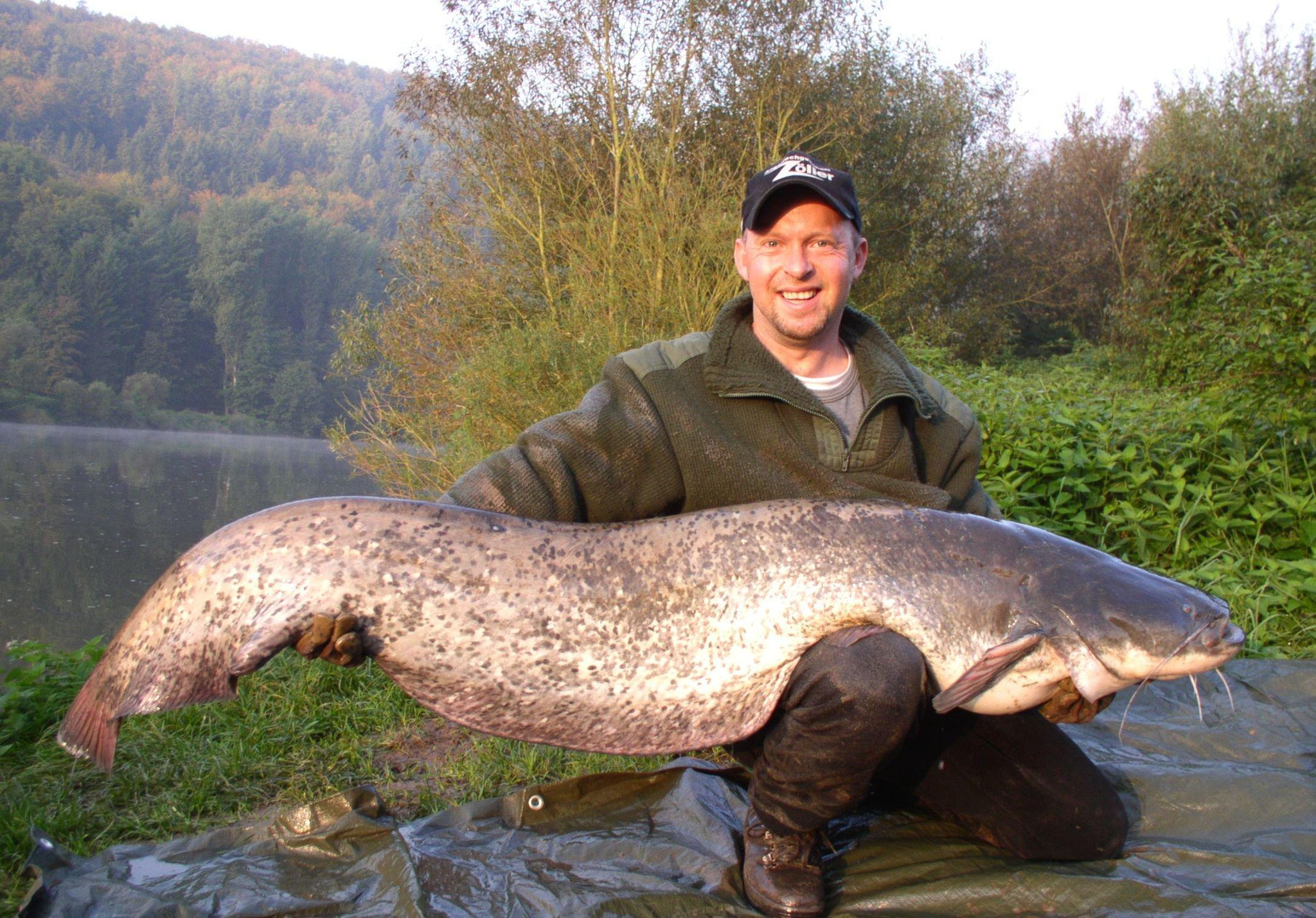 Der untere Neckar von Heilbronn bis Heidelberg - Welsangeln mit ...