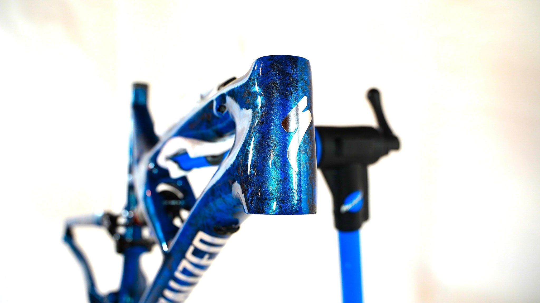 Specialized Enduro Carbon Gr. L ( Custom Paint ) - Season Bikes ...