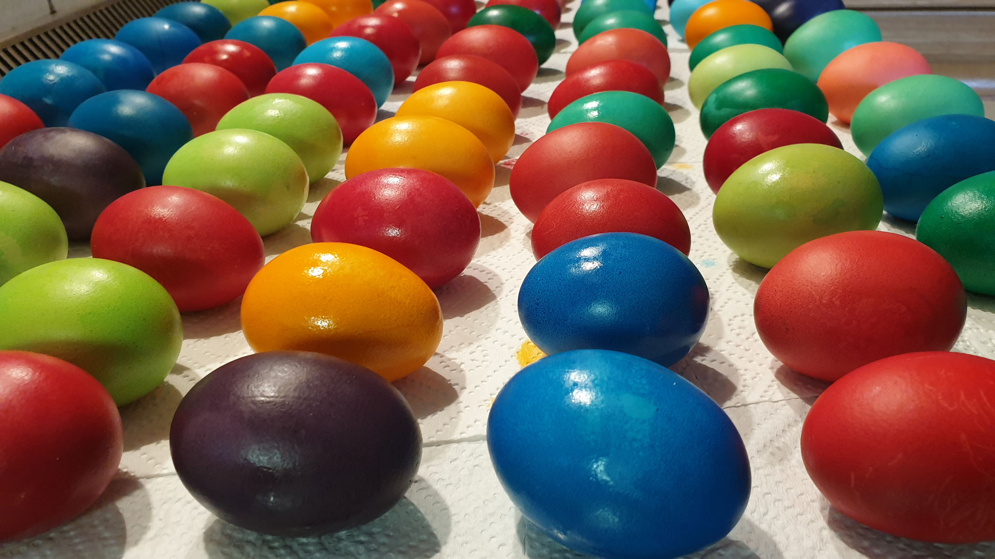 Osterfleisch direkt vom Maltataler Bauern - Kronegg "Feinstes vom ...