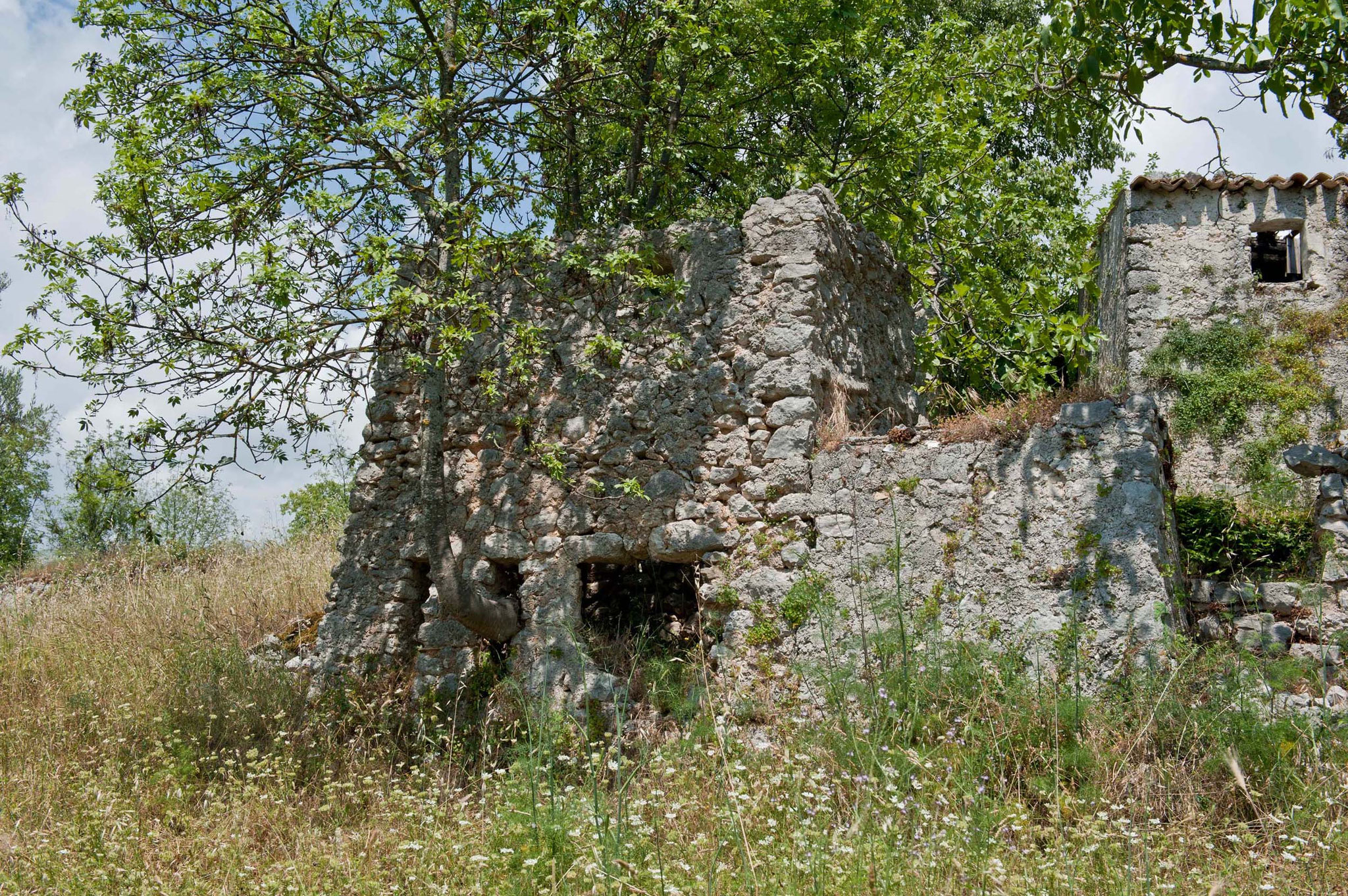 Mignale - Benvenuti su gilbertopompilio!