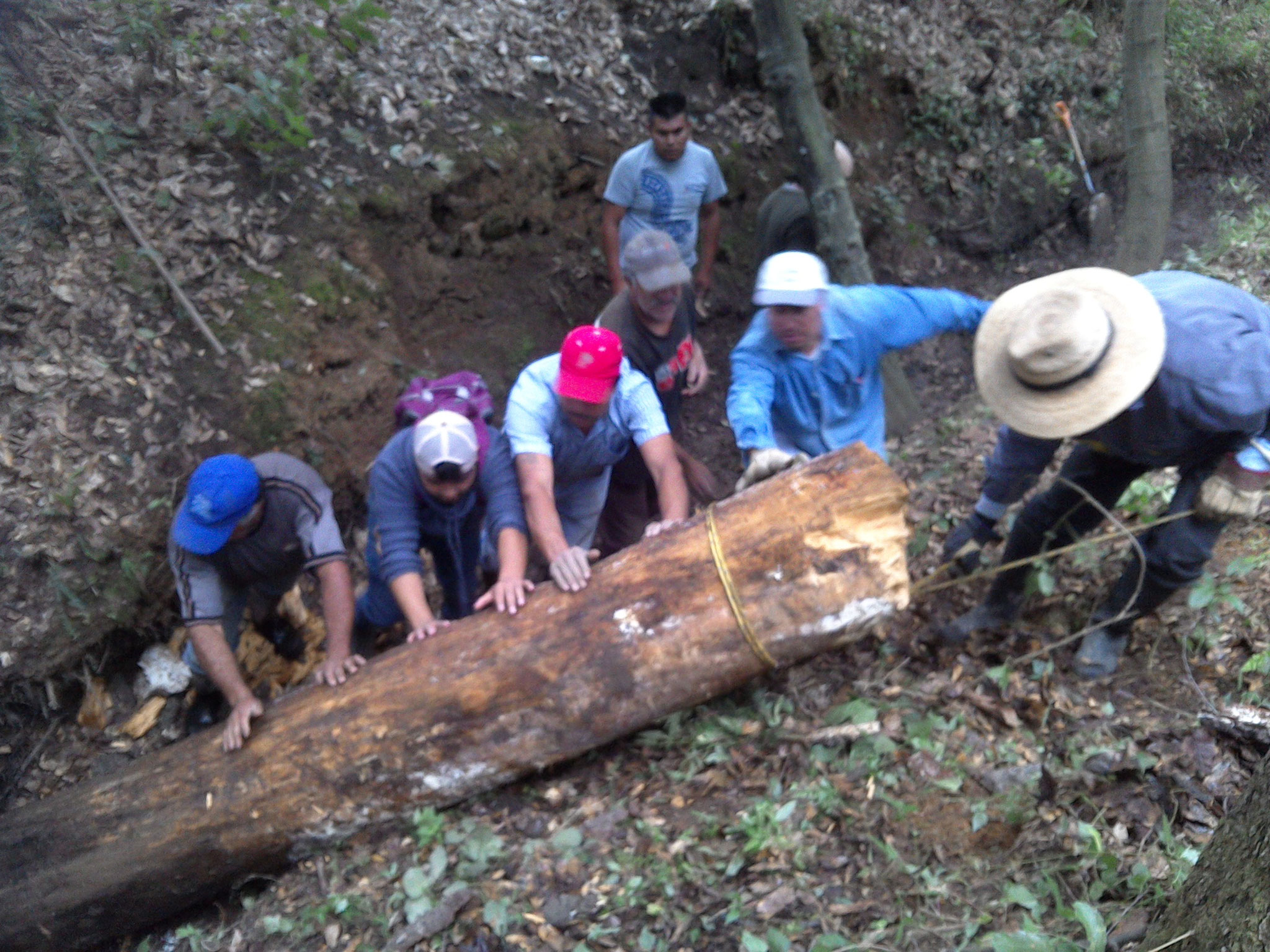 Organos del ejido y funciones - Página web de ejidosanjoseelvidrio