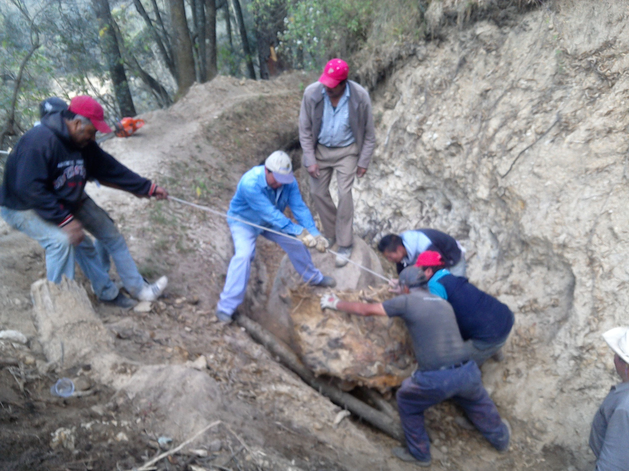 Organos del ejido y funciones - Página web de ejidosanjoseelvidrio