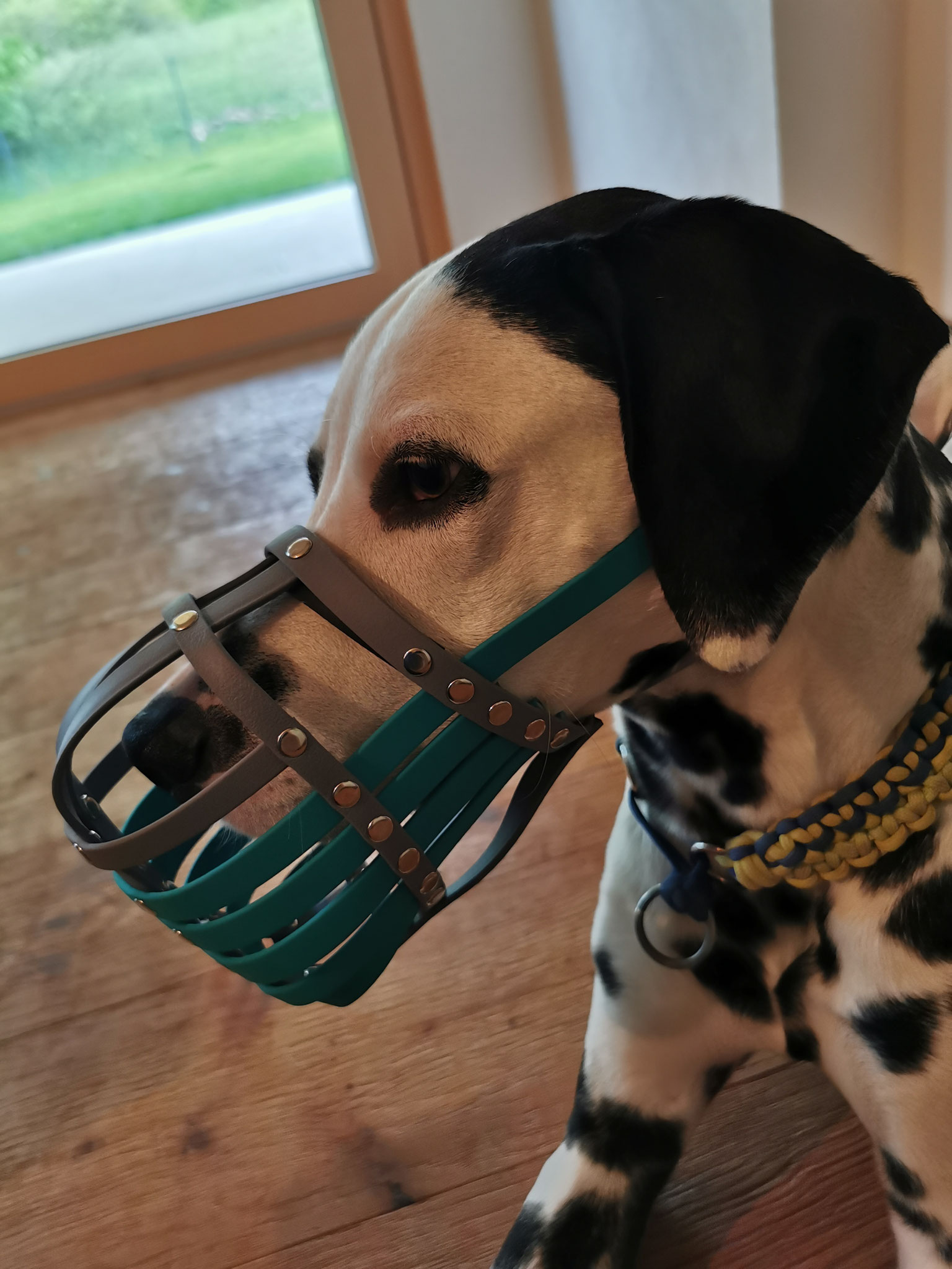 Biothane Hunde Maulkorb - 100 % handgemachtes Hundezubehör aus Biothane ...