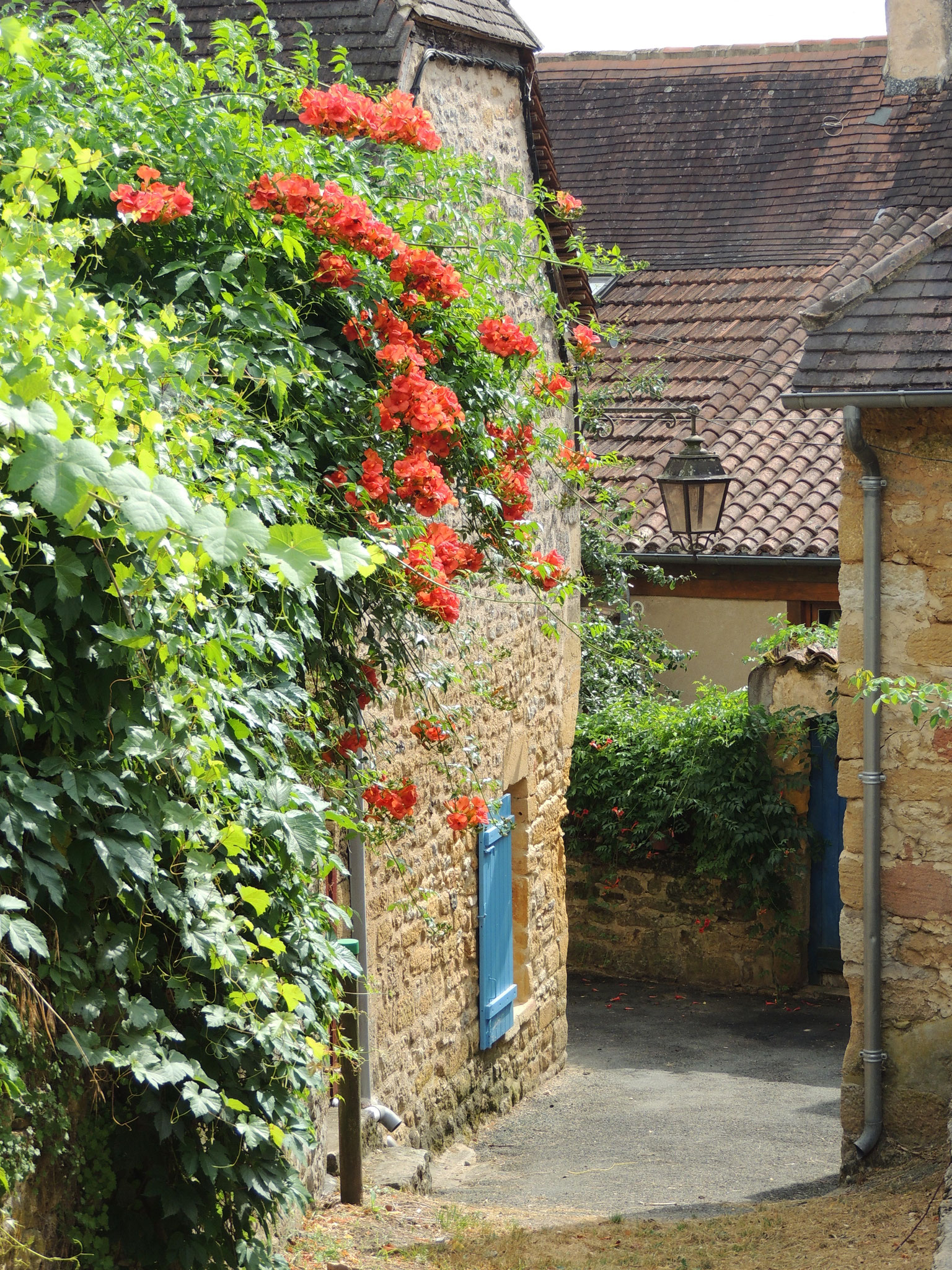 Bienvenu - Plazac en Dordogne