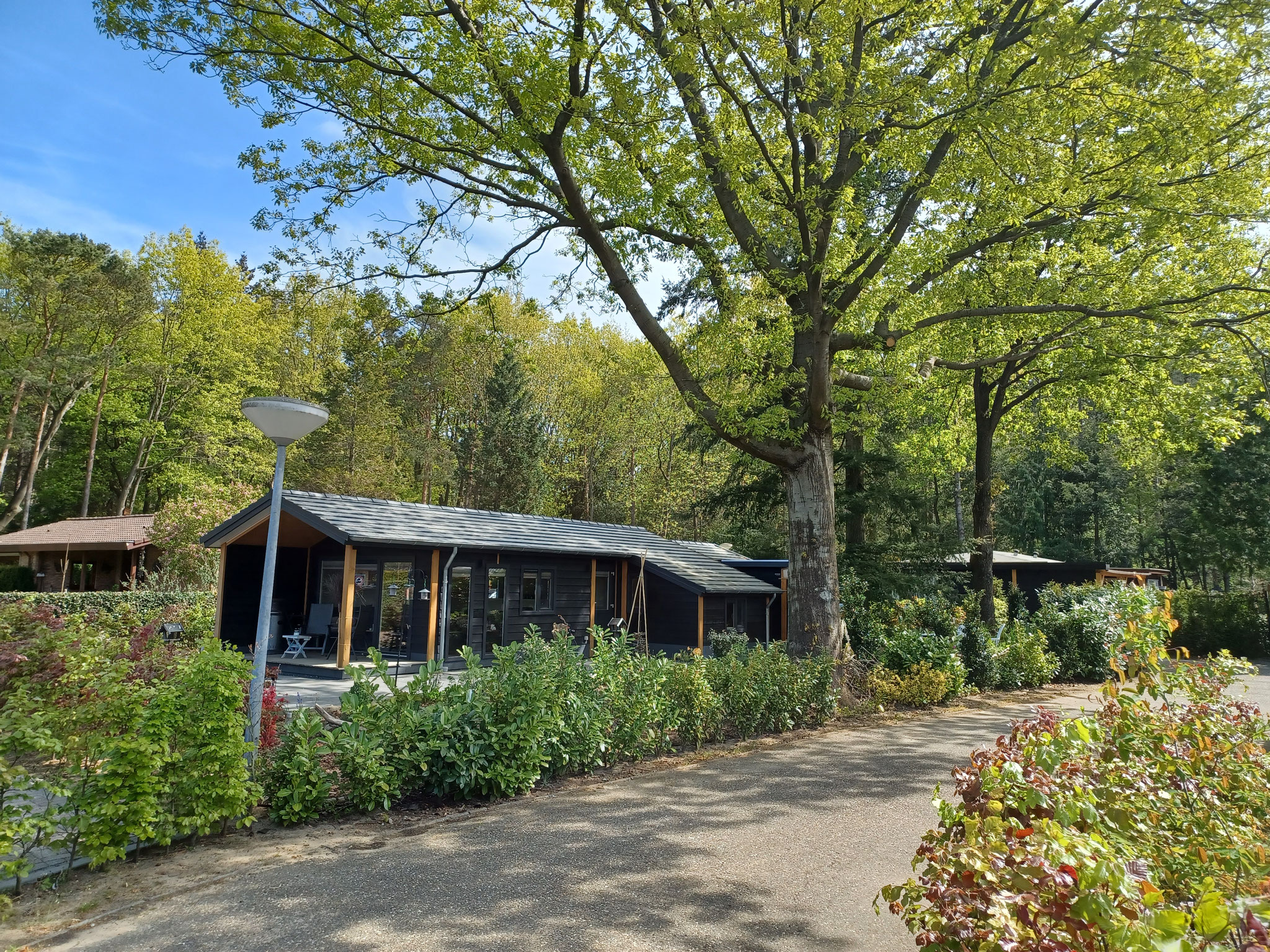 CHALET NUMMER 1 - De website van sprielderpark!