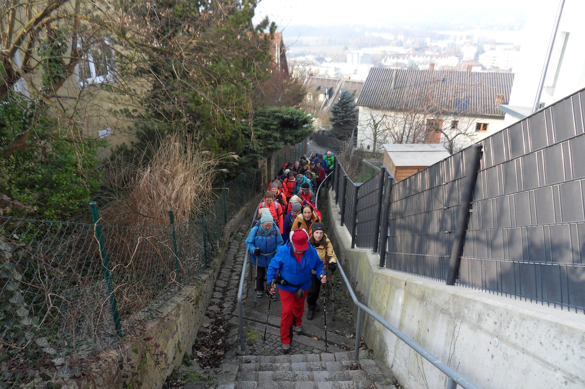 Winterwanderung Großer Hopfensteig St. Ulrich im Mühlkreis am 21.01.2023 - BSV Land OÖ