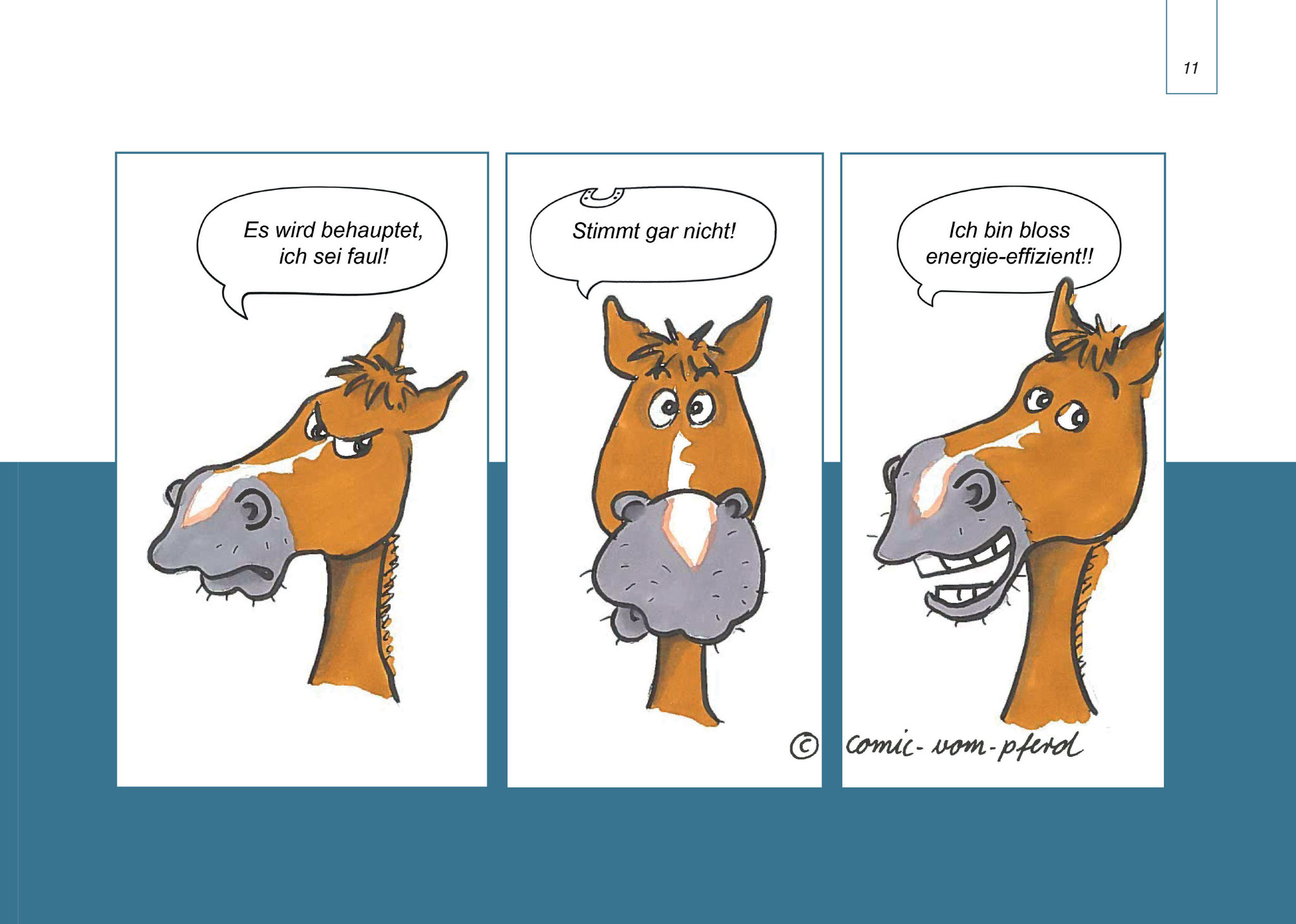 Pferdecartoons - comic-vom-pferds Webseite!