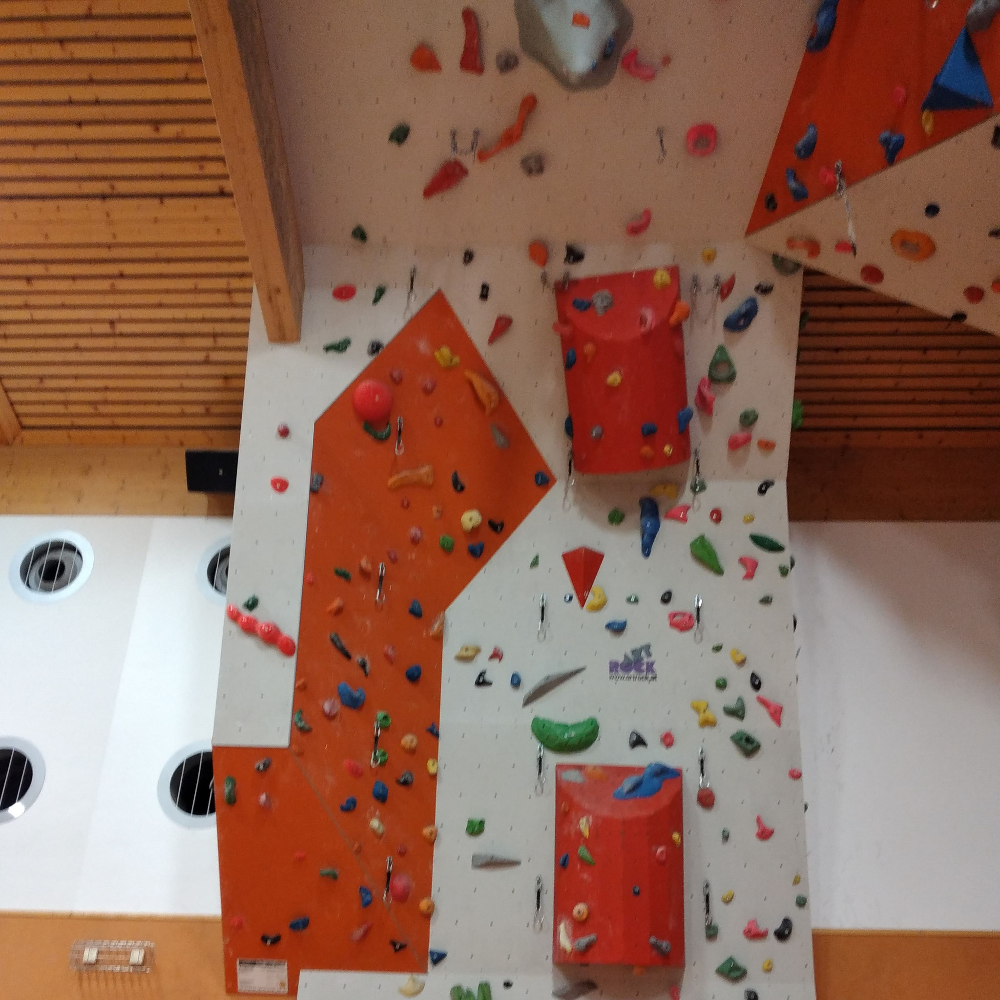 Den Vorstand bilden: - Union Fischlham - Sektion Sportklettern