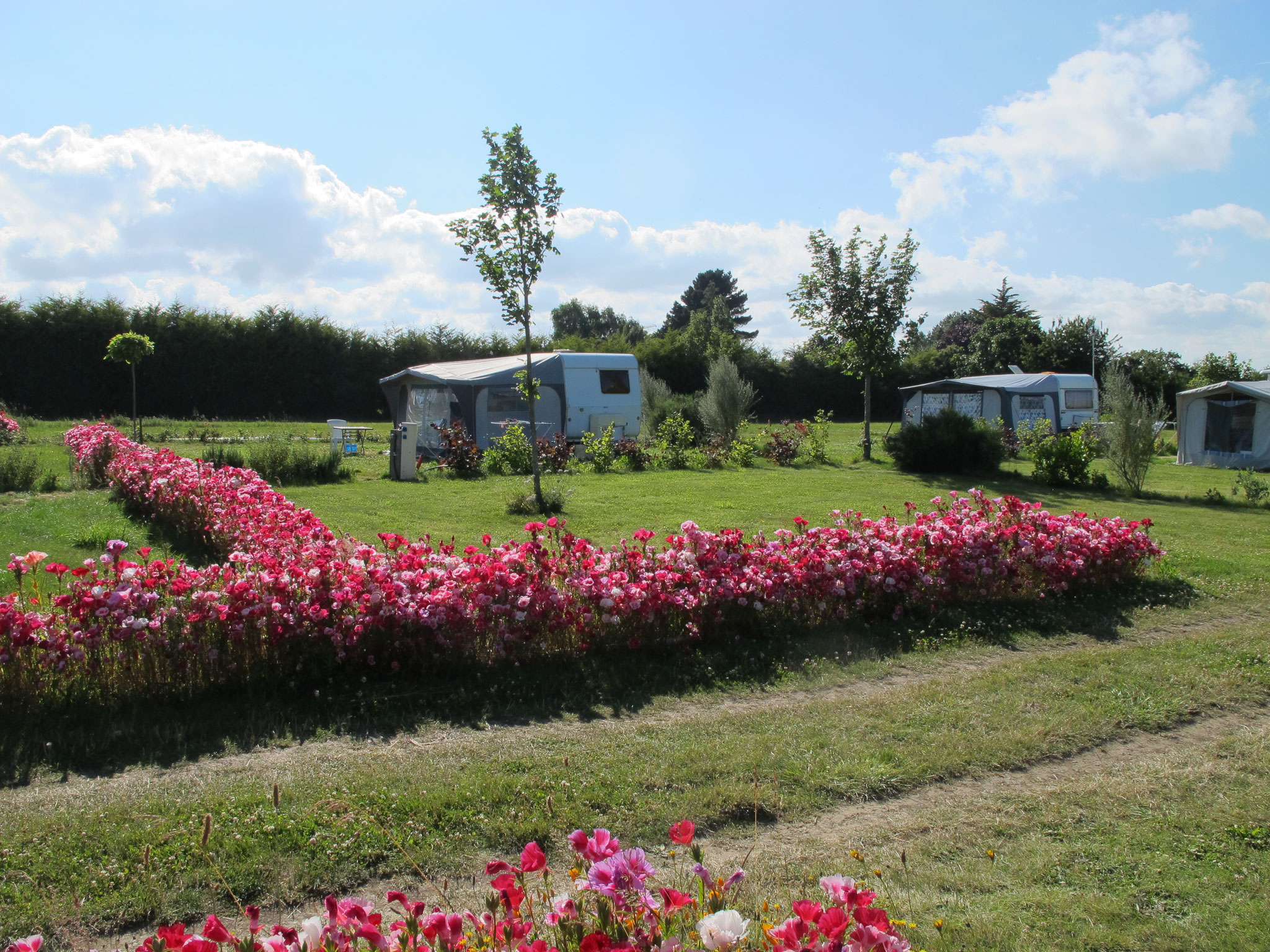 Camping à Plérin - plage des Rosaires - Camping des Rosaires à Plérin