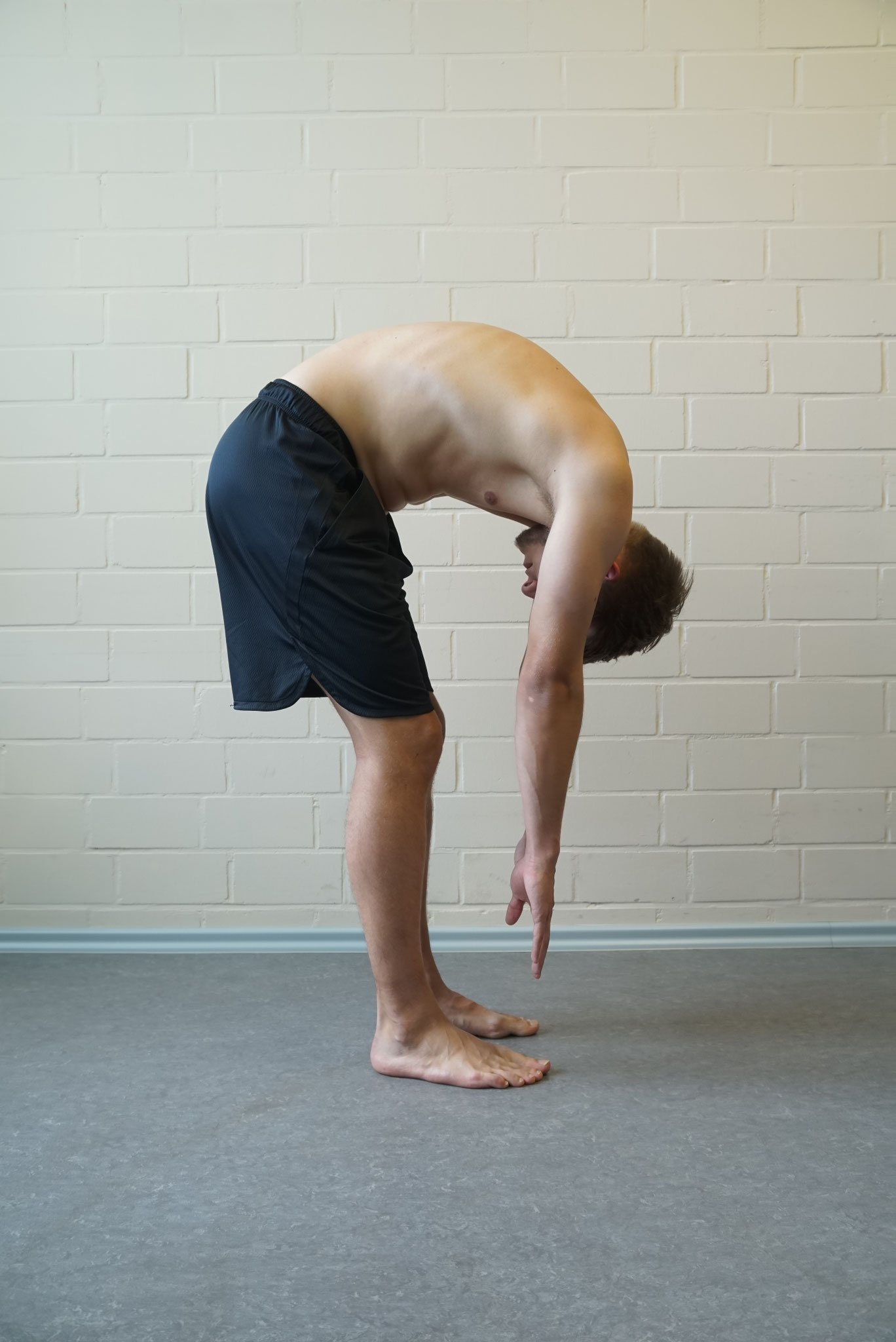 Tests LWS - see-feel-treats Webseite!