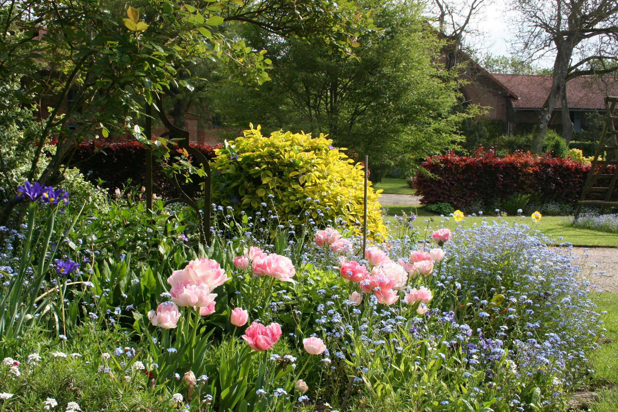 Le Jardin de Roses du Parc floral de Digeon - Parc Floral du Château de ...