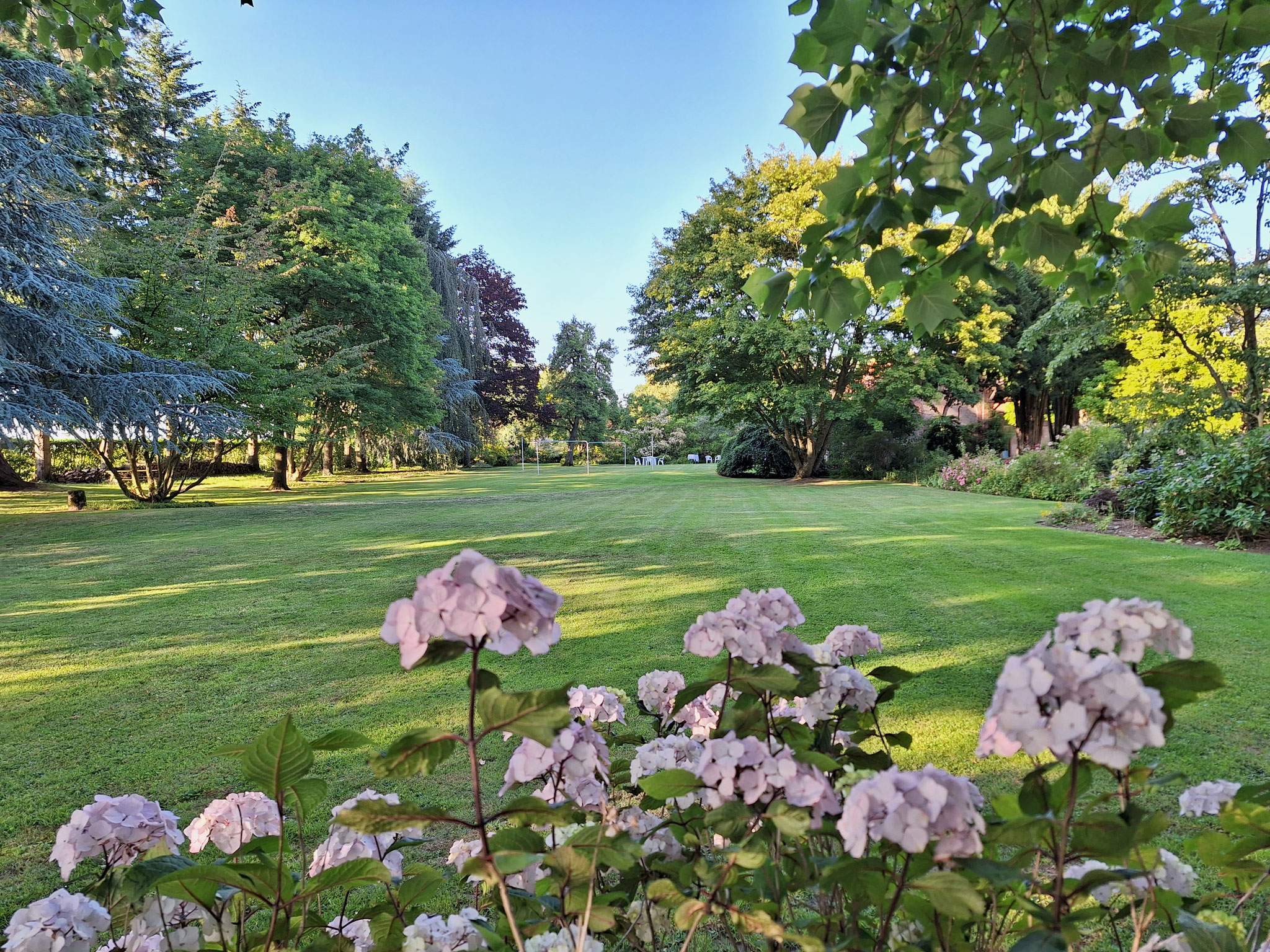Le Parc à l'anglaise de Digeon - Parc Floral du Château de Digeon ...