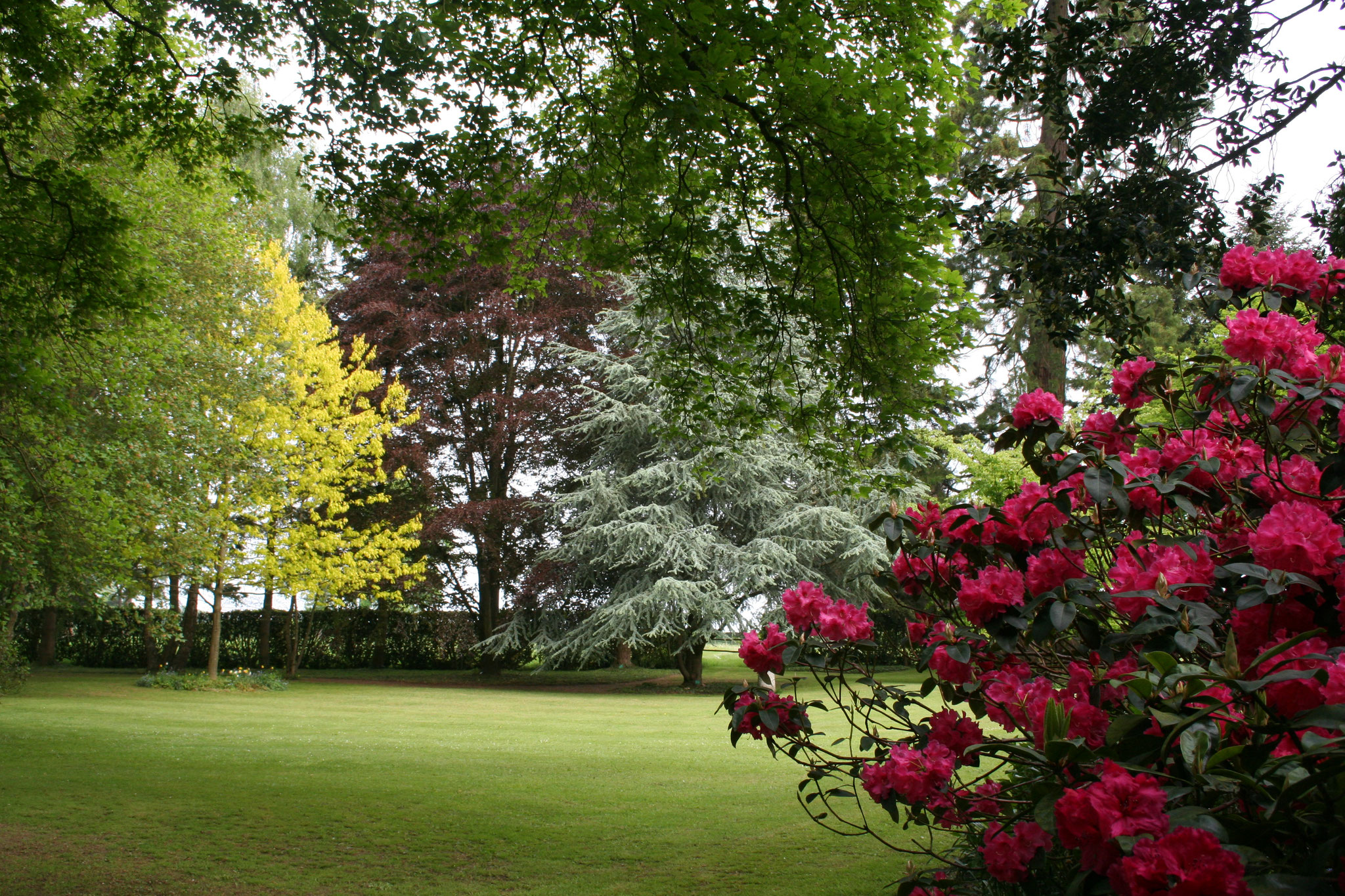 Le Parc à l'anglaise de Digeon - Parc Floral du Château de Digeon ...