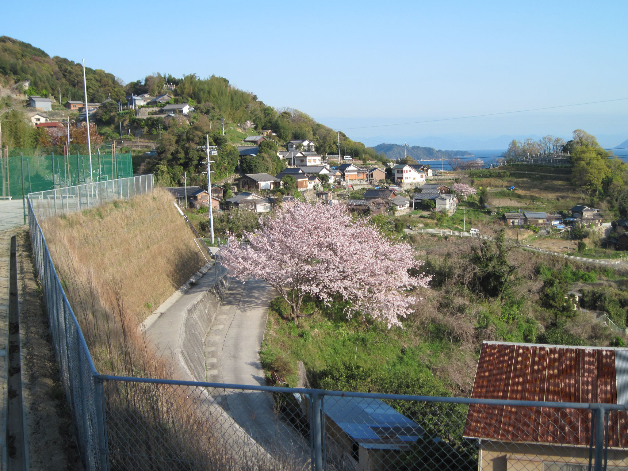 柱島（はしらじま）Hashirajima - 瀬戸内海の離島「柱島群島」