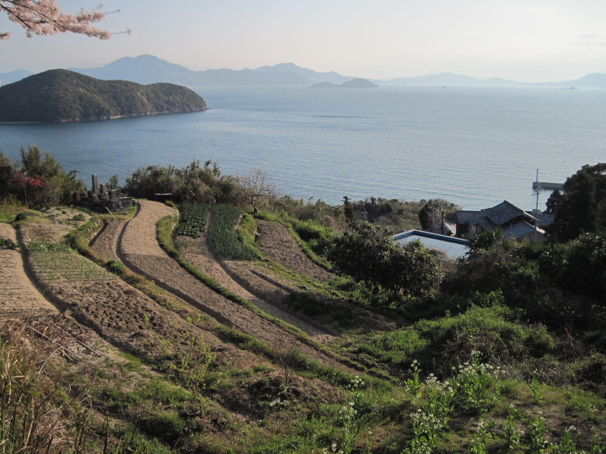 柱島（はしらじま）Hashirajima - 瀬戸内海の離島「柱島群島」