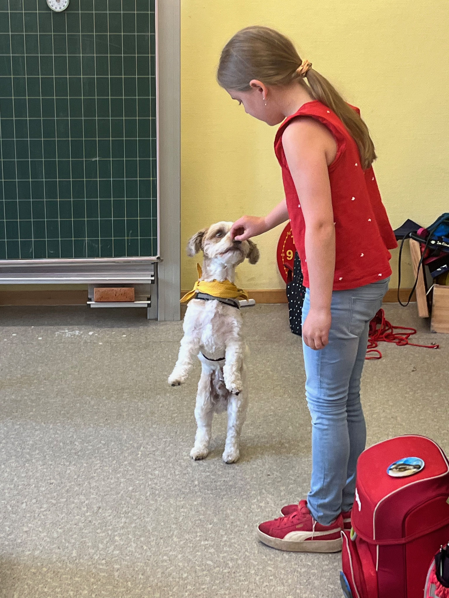 Schulhund - Türmchenschule Rostock