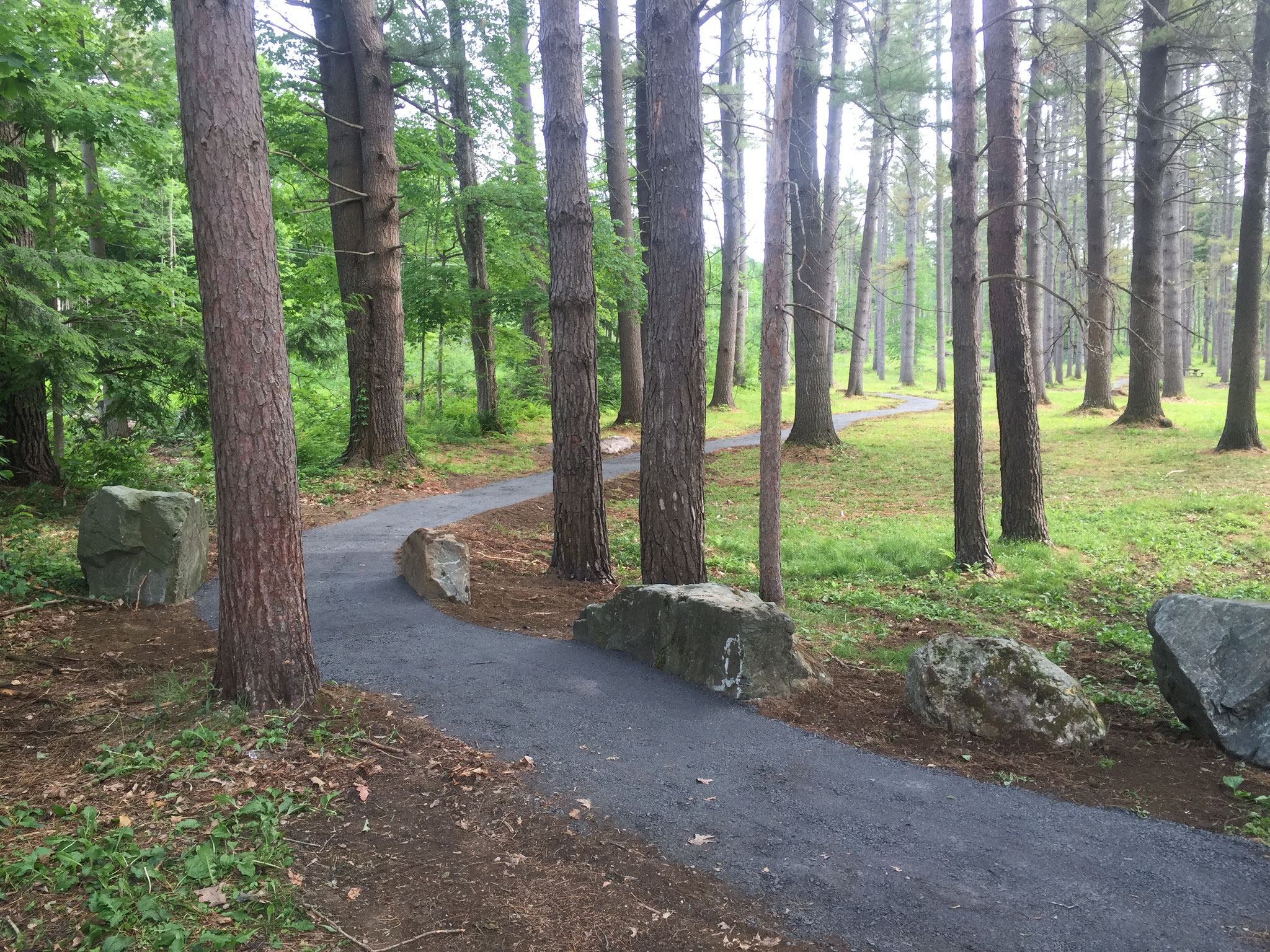 Accessible and Multi-Use - OBP Trailworks LLC