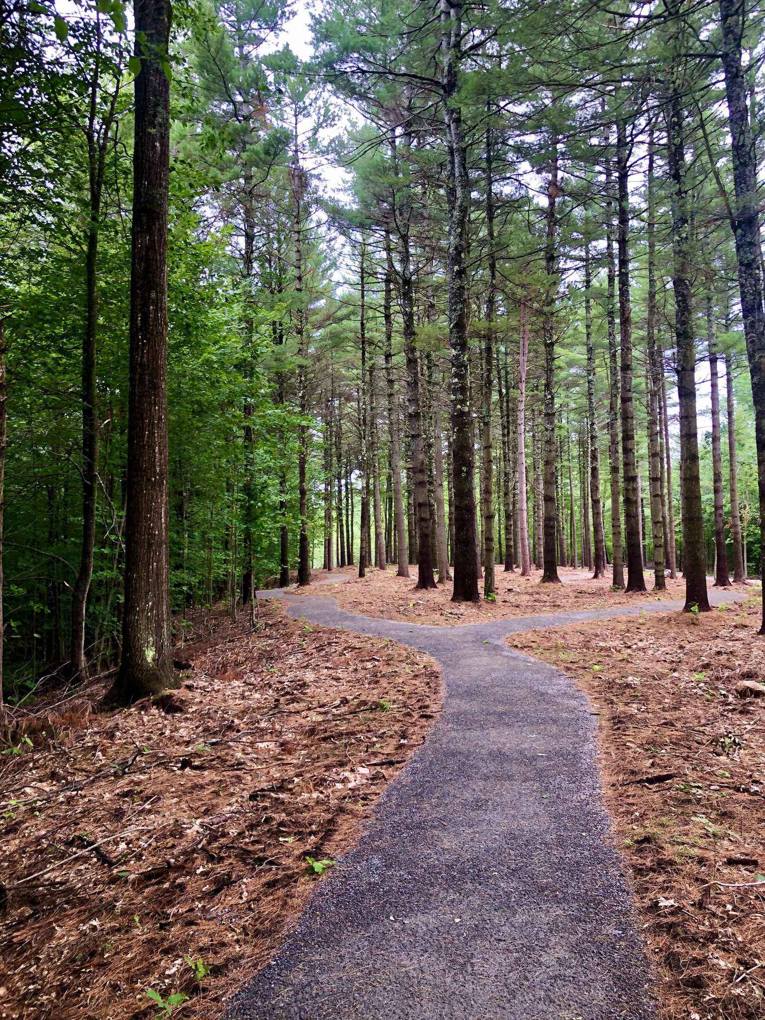 Accessible and Multi-Use - OBP Trailworks LLC