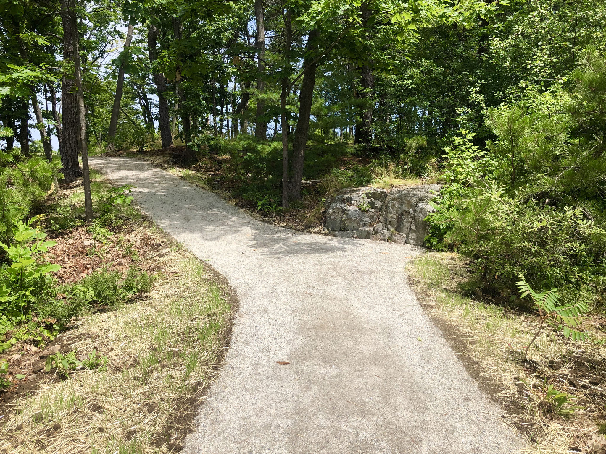 Accessible and Multi-Use - OBP Trailworks LLC