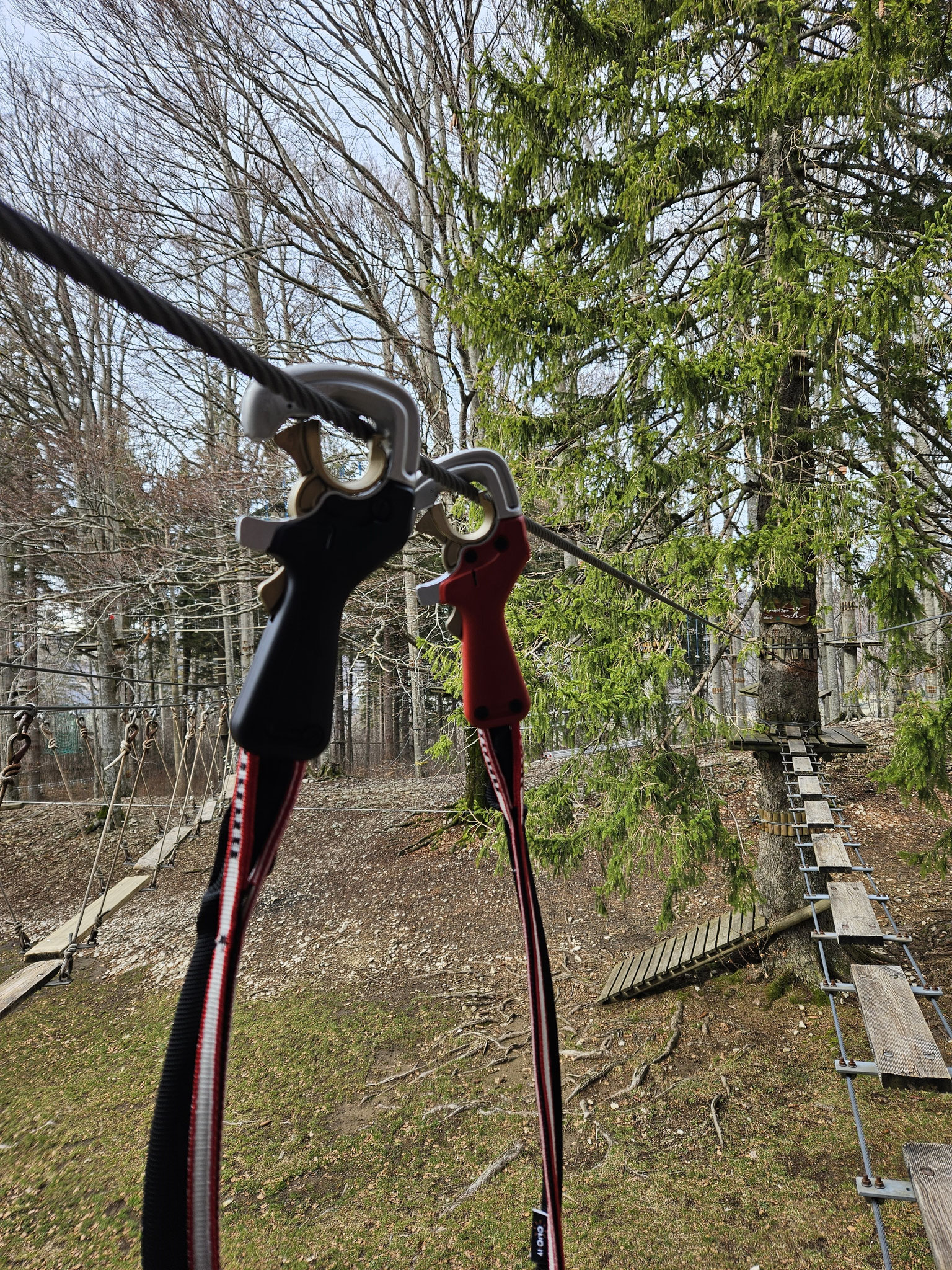 Seilpark - Seilpark Balmberg