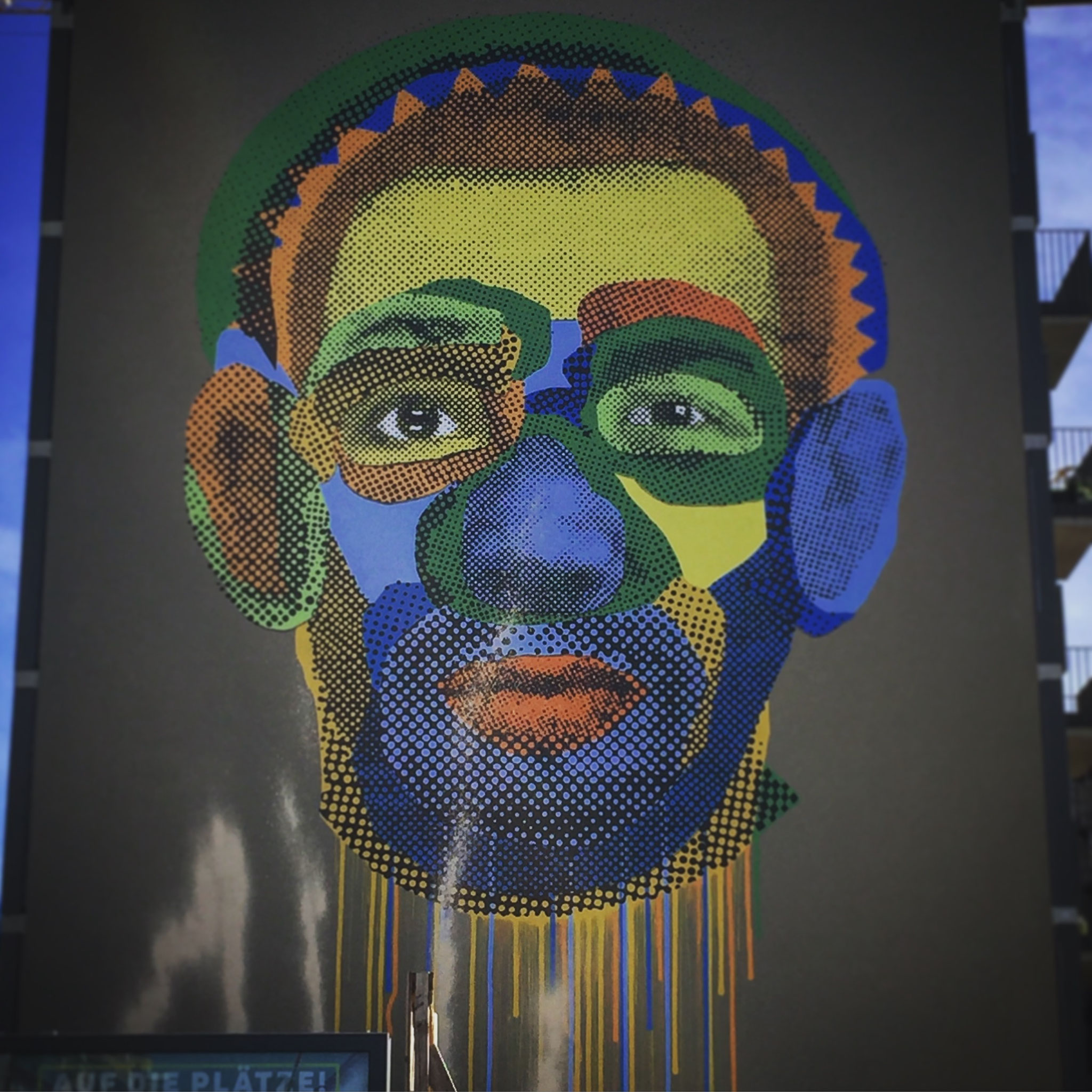 SANDRA - Sandra Bohnakers Website