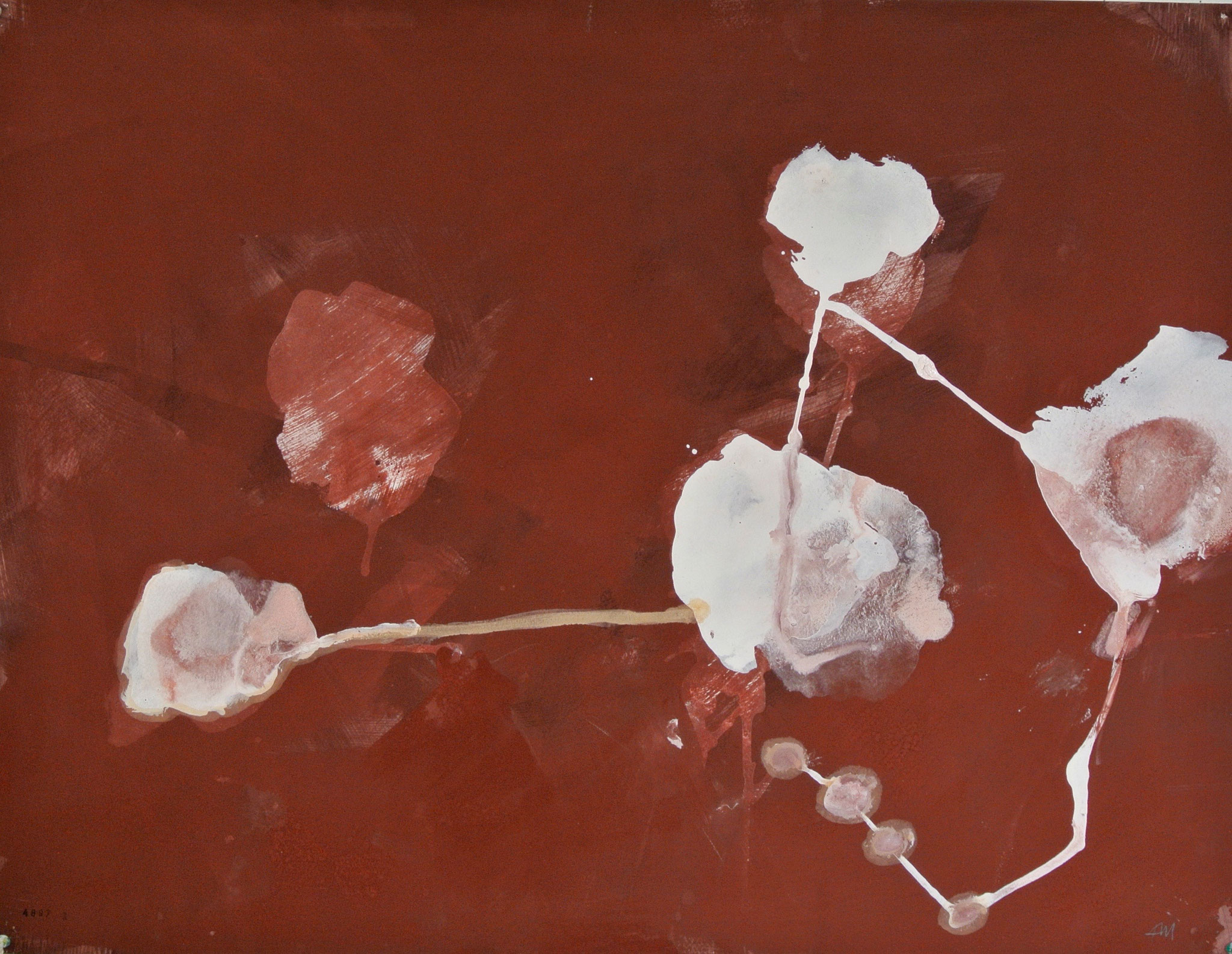 Caseina su carta - francinemurys Webseite!