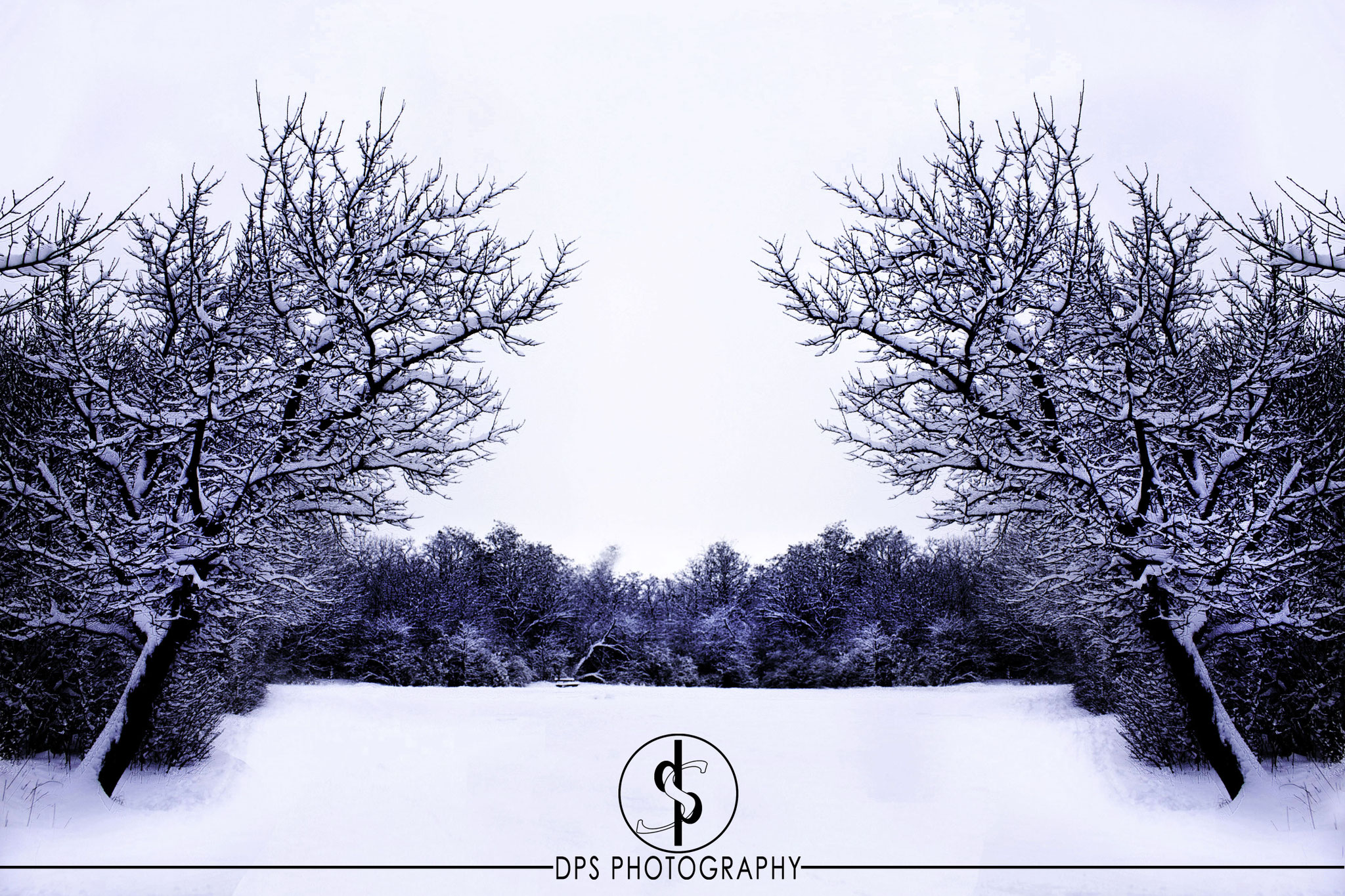 Nature | Landscape - DPS Photography