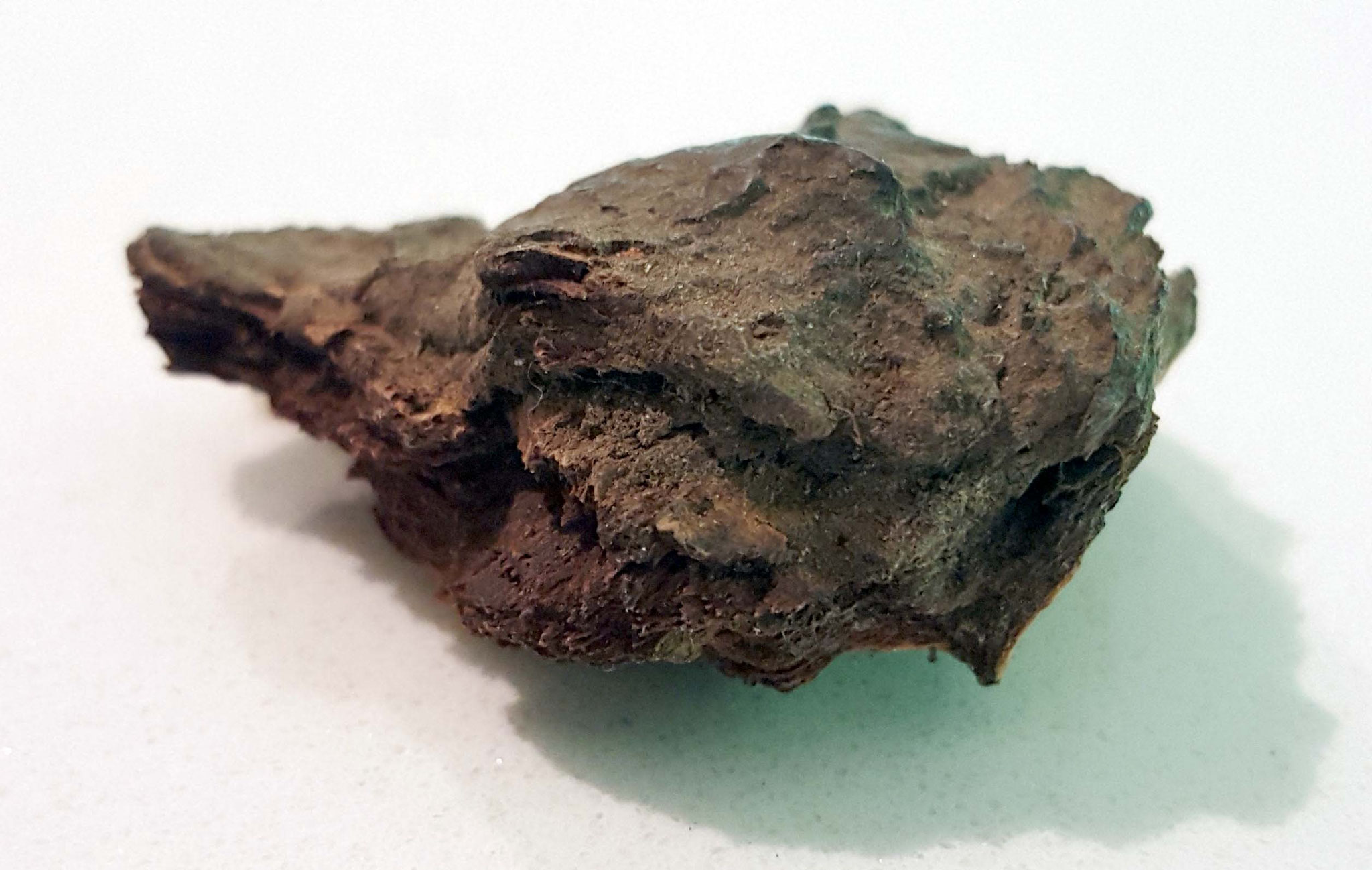 Hazrat Babajan - meherbabatravels jimdo page!