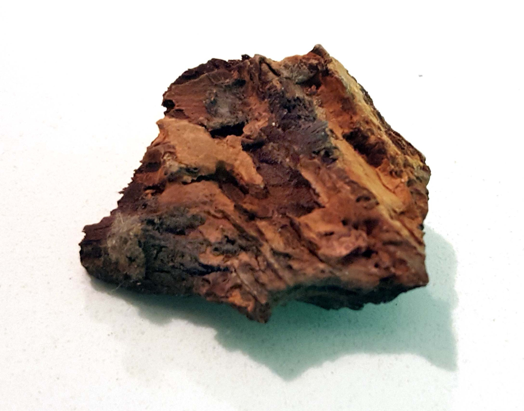 Hazrat Babajan - meherbabatravels jimdo page!