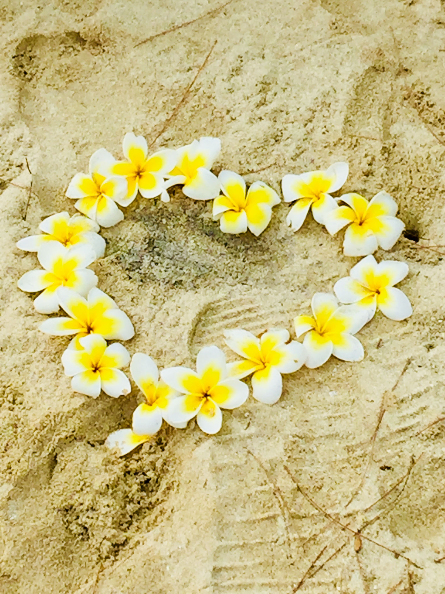 WEDDING - Villa Seewoo Mauritius