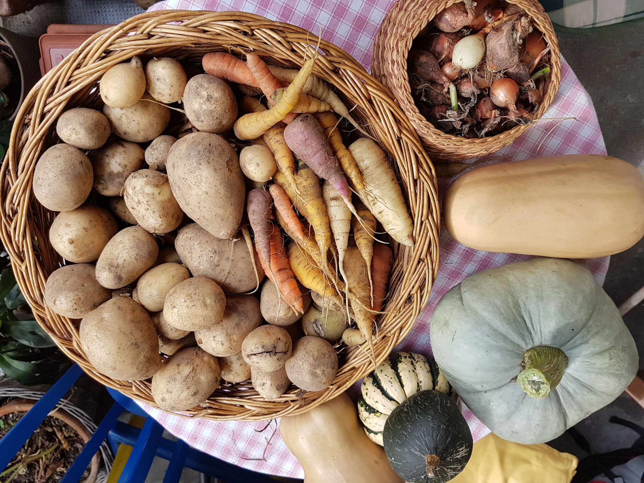 Willkommen auf dem Lecker-acker - leckeracker-baeumlihofs Webseite!