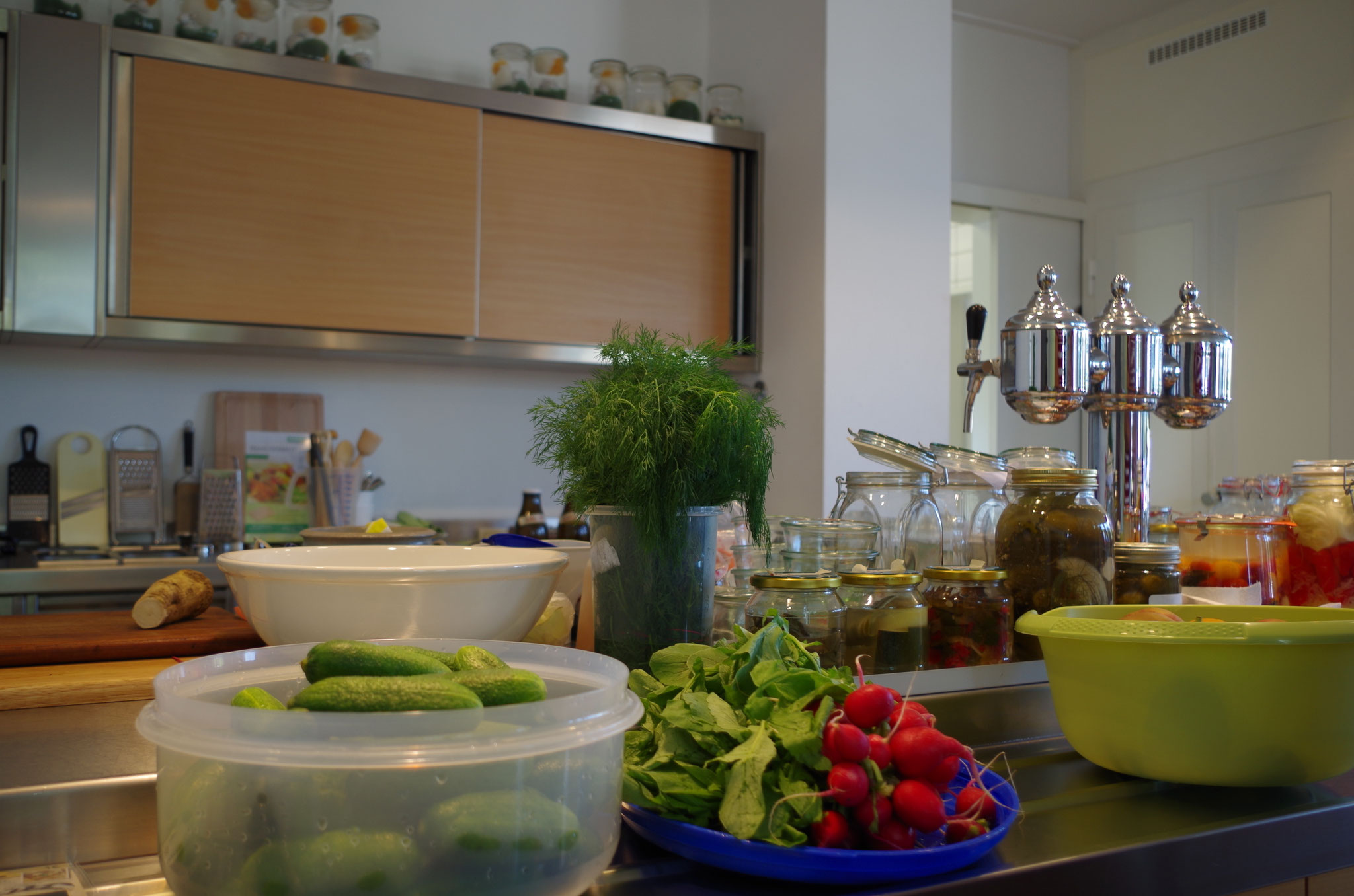 MikroVeda® FERMENTSTARTER - Effektive Mikroorganismen bei www.em-esser ...