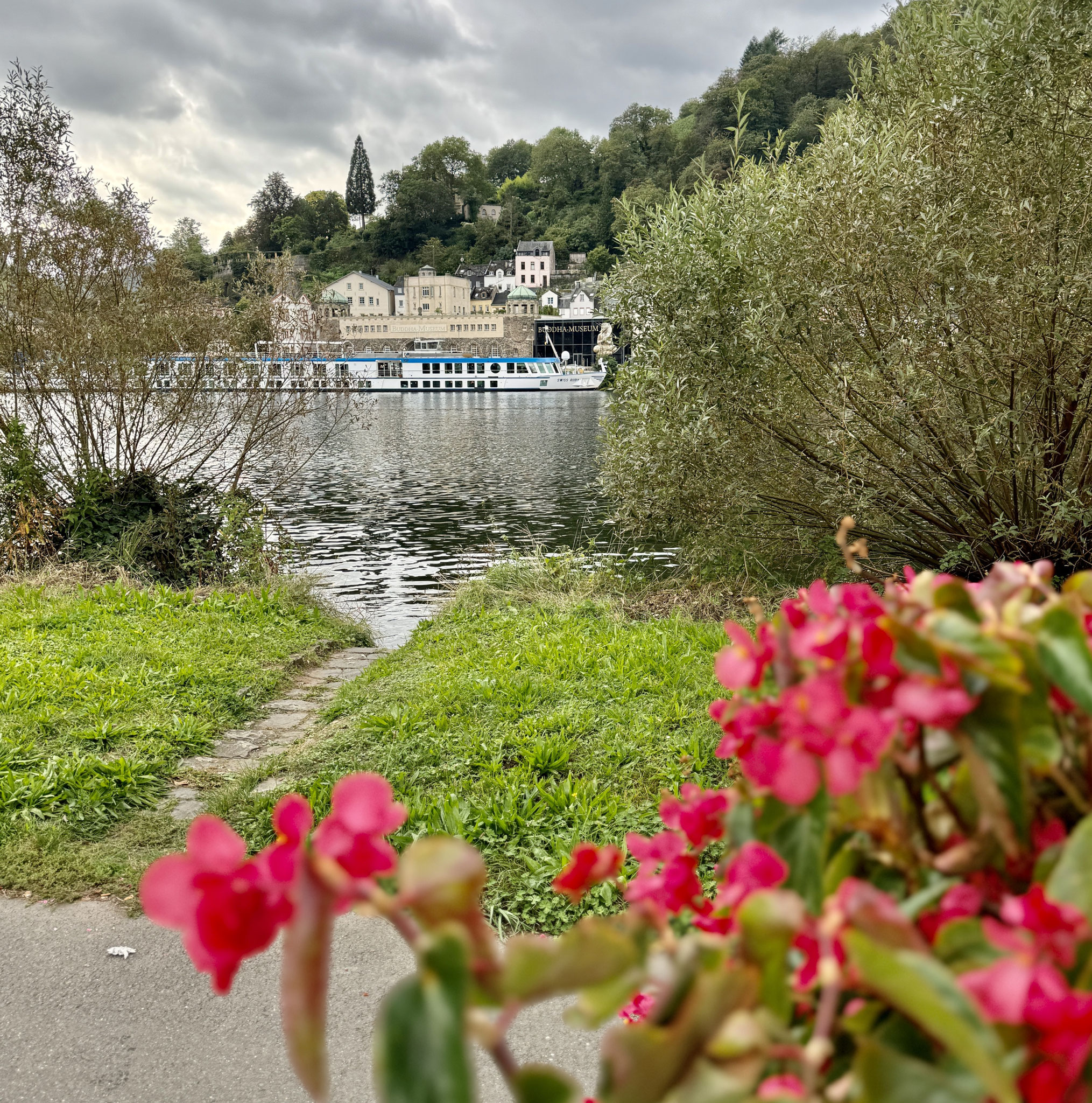 SWISS RUBY: Mit dem Kulturschiff durch die zauberhaften Moselweinberge ...