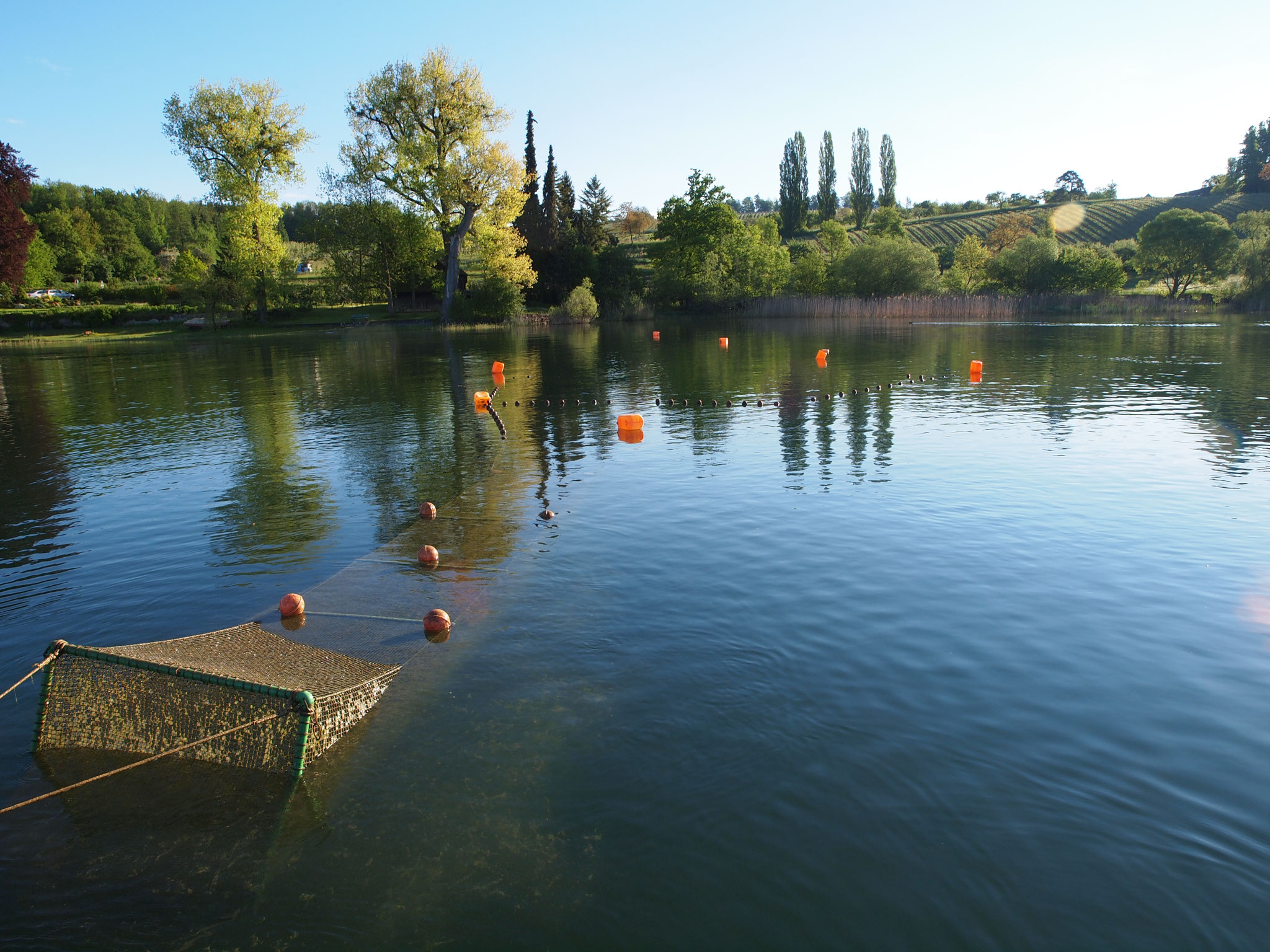 Fischfang im Bodensee - Knoblauch Bodensee