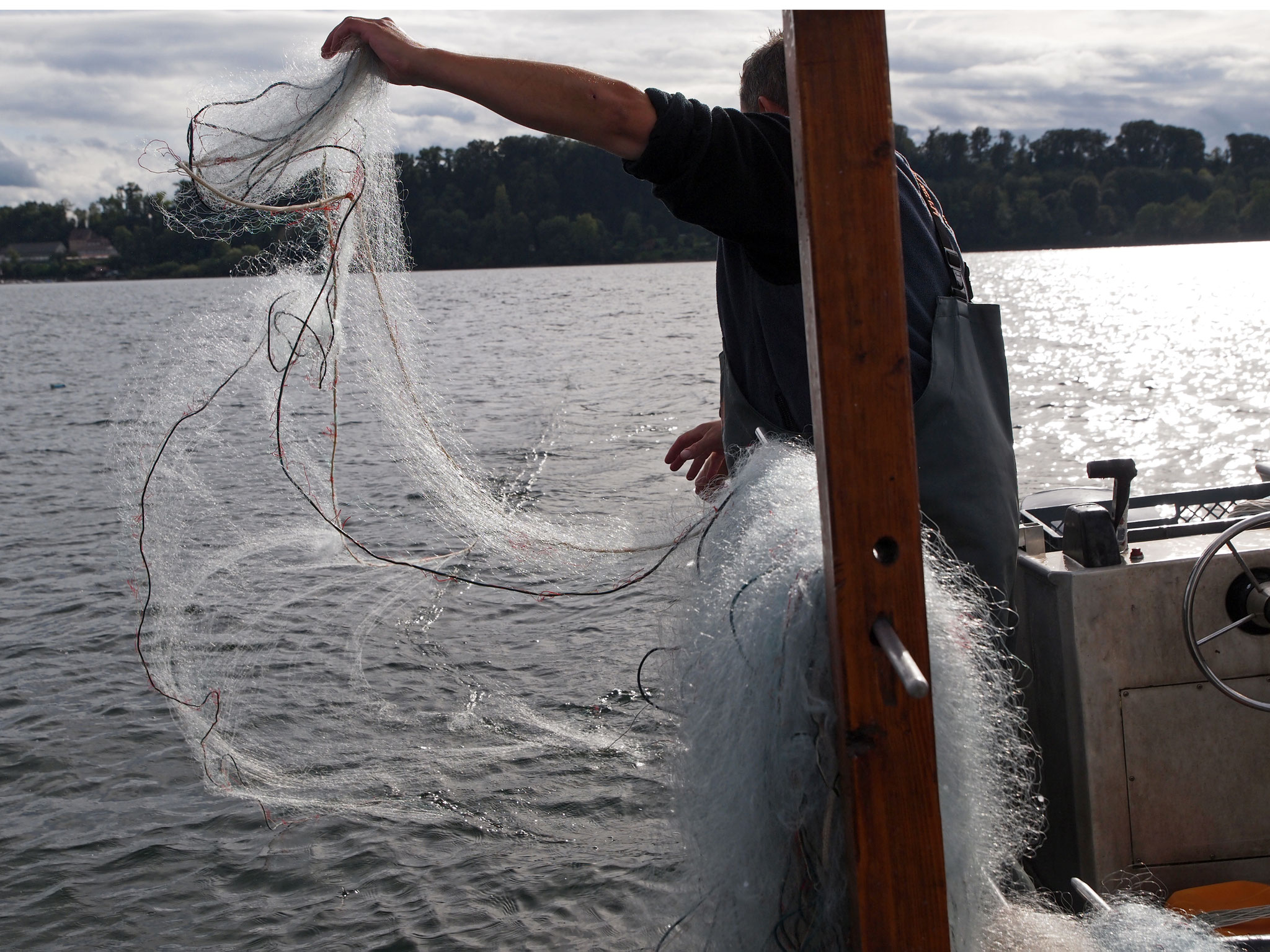 Fischfang im Bodensee - Knoblauch Bodensee