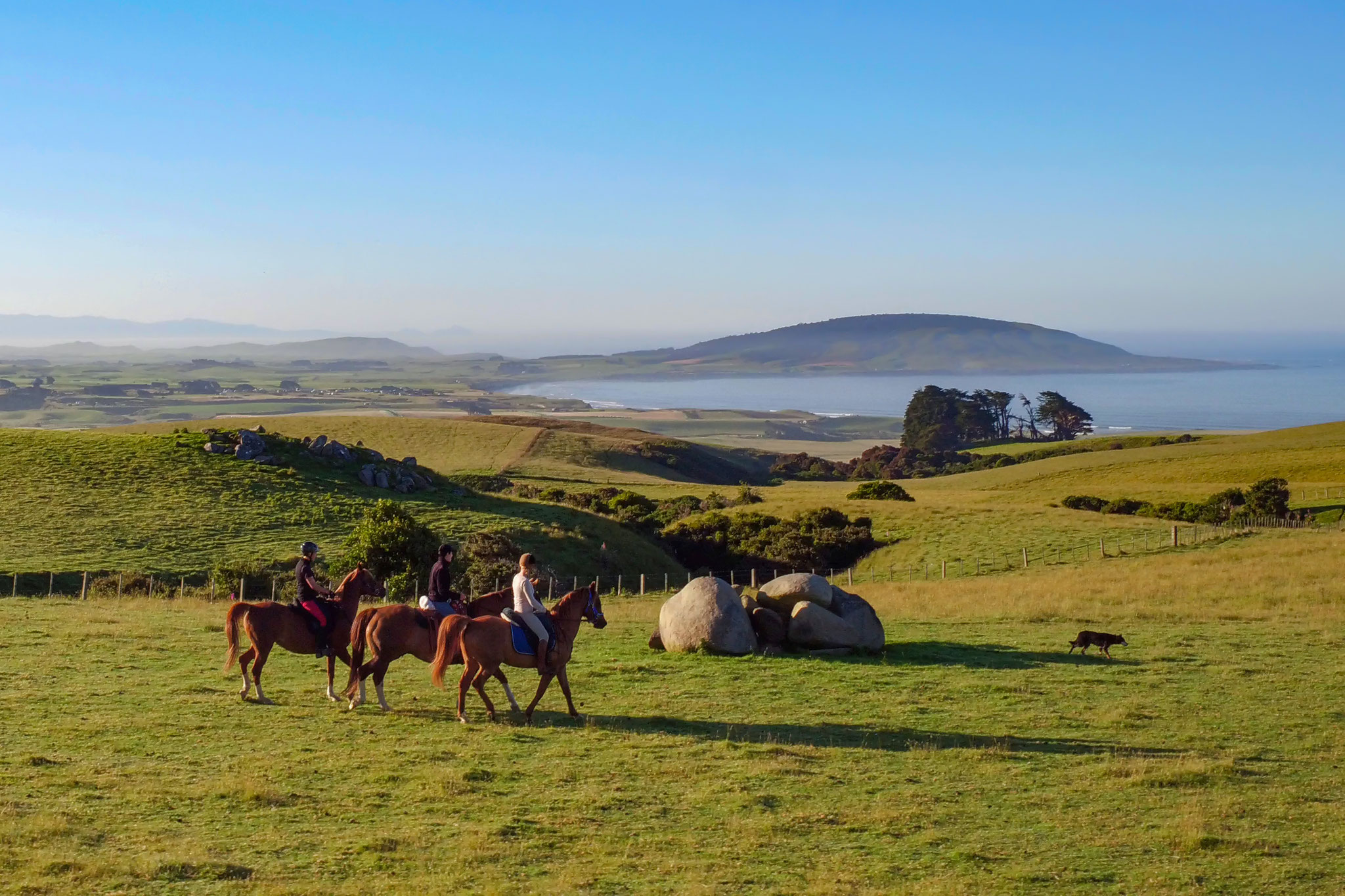 Gallery - Orepuki Horse Treks