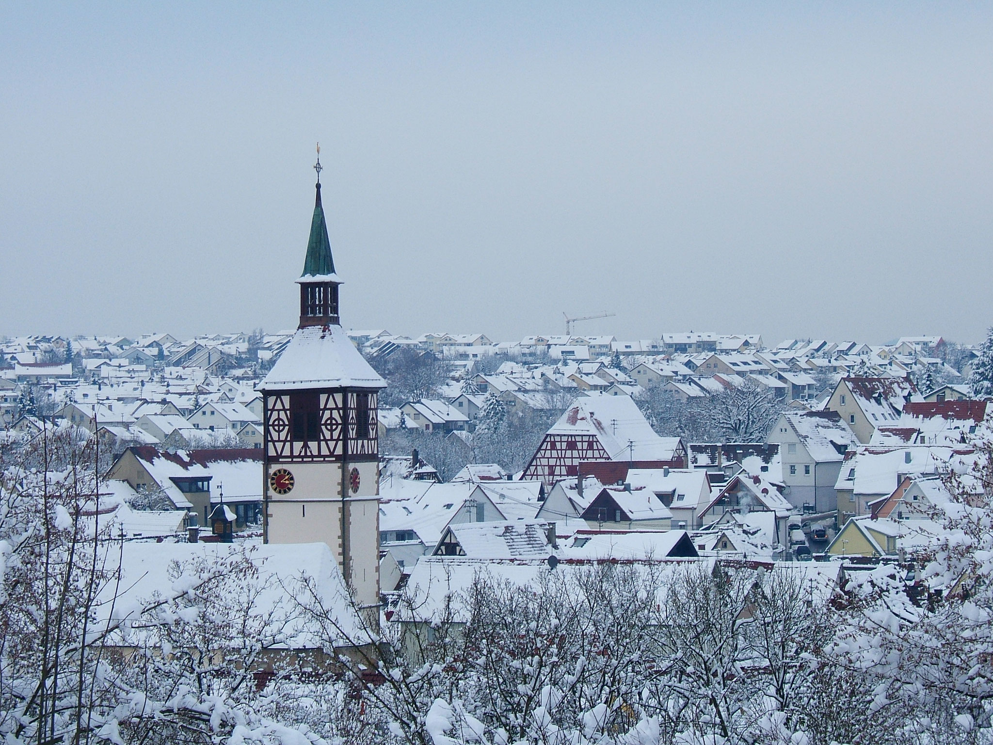 Steinheim an der Murr - 1. Fasnetsverein Steinheim e.V.