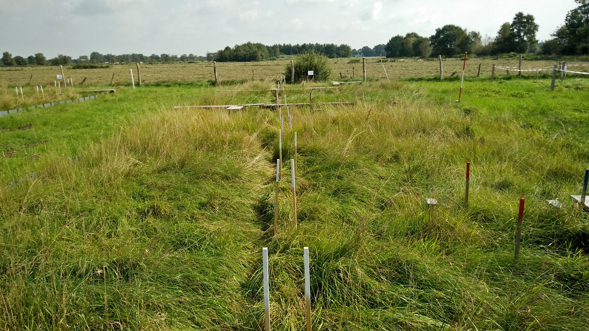 Optimoor in bildern - optimoors Webseite!