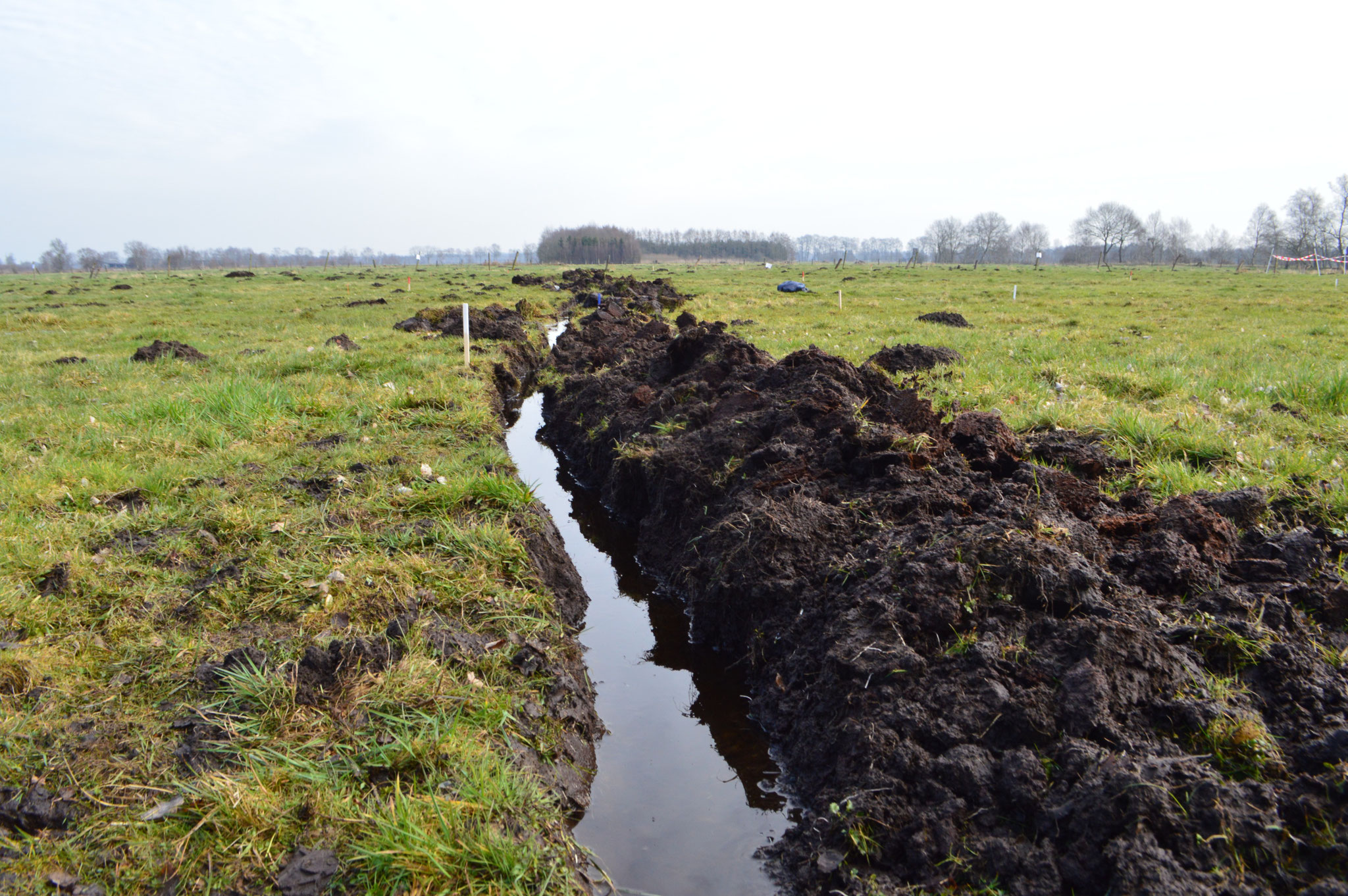 Optimoor in bildern - optimoors Webseite!
