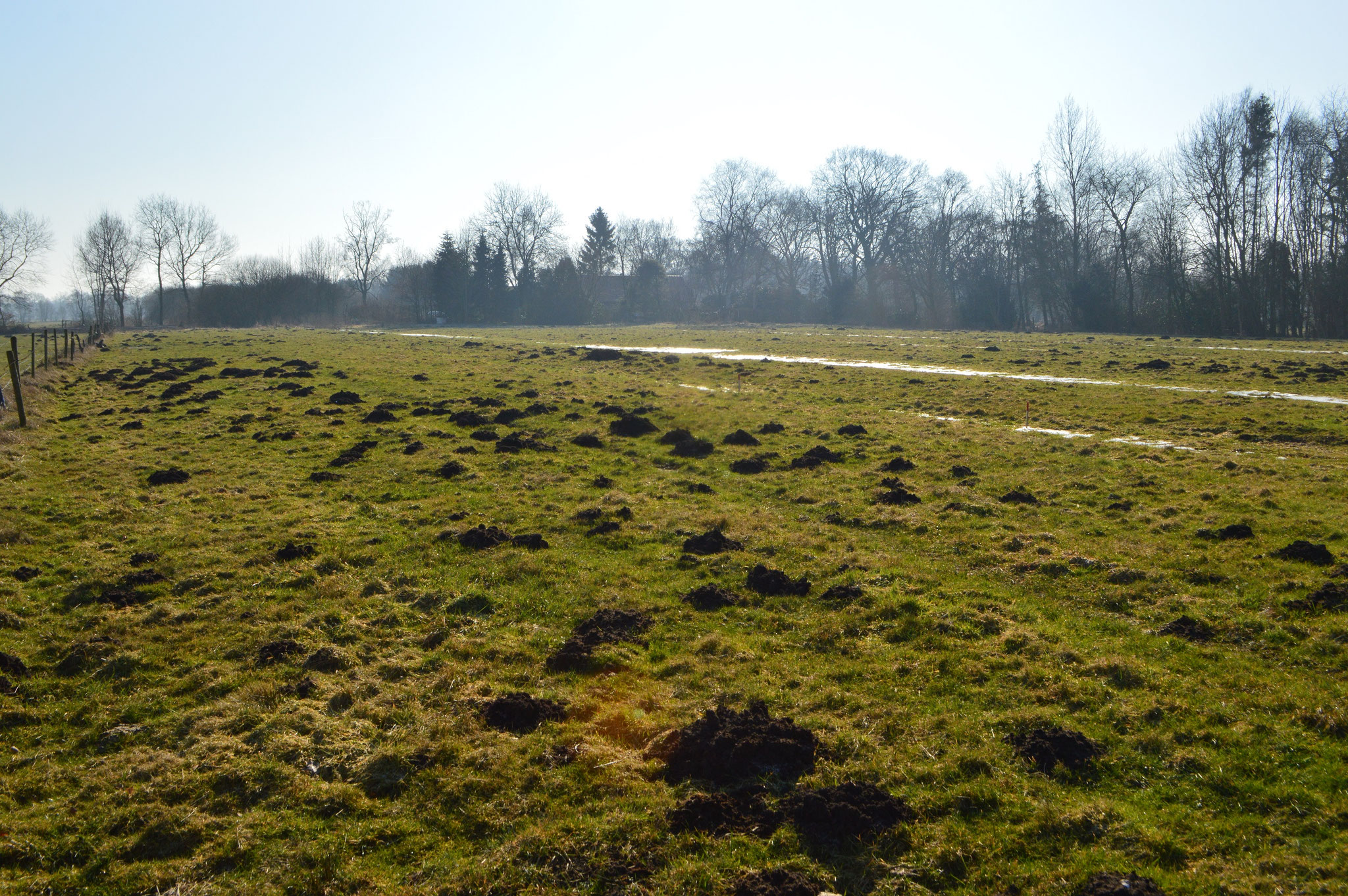 Optimoor in bildern - optimoors Webseite!